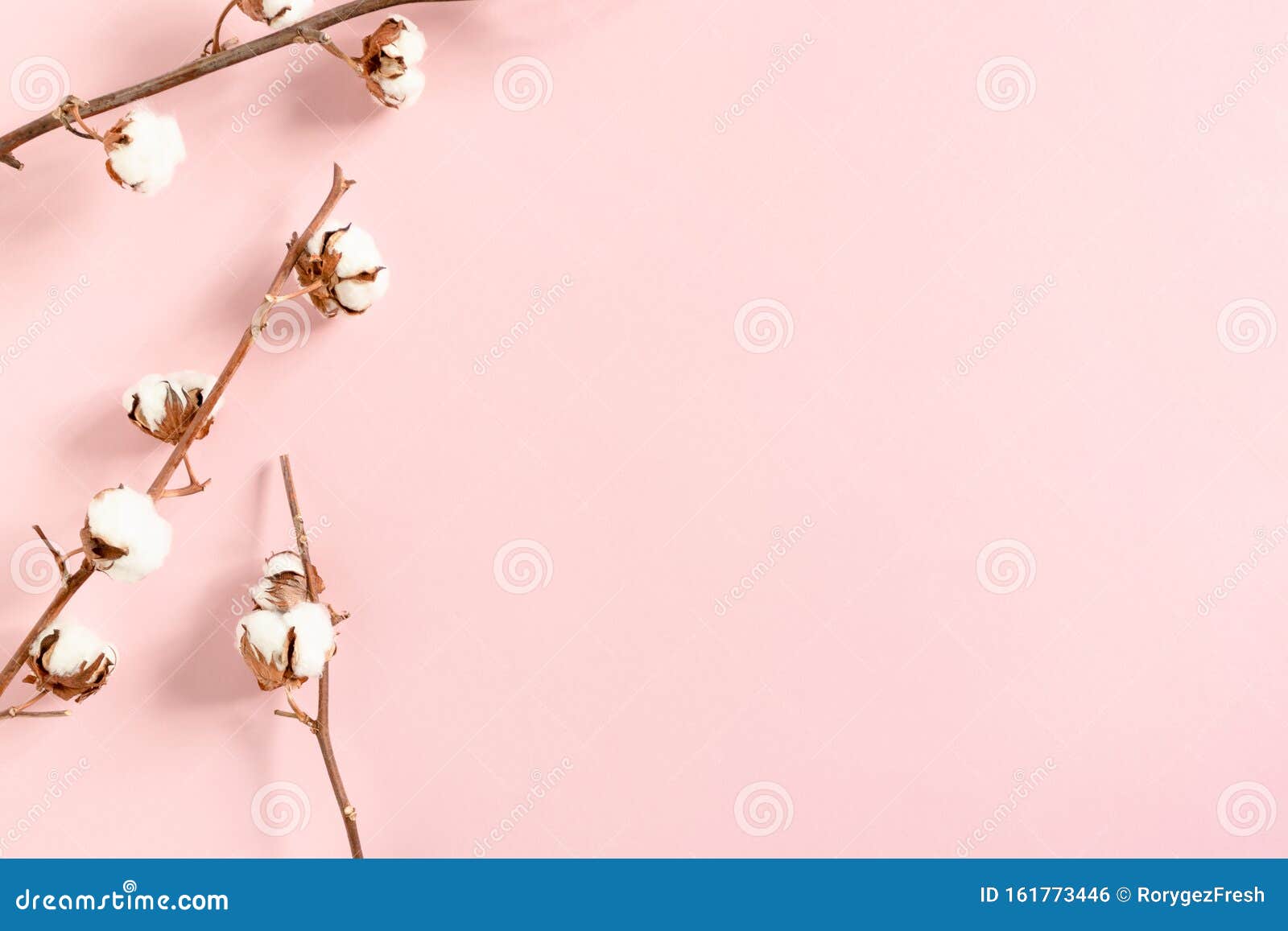 Border Frame Made of Cotton Stock Photo - Image of copy, frame: 161773446