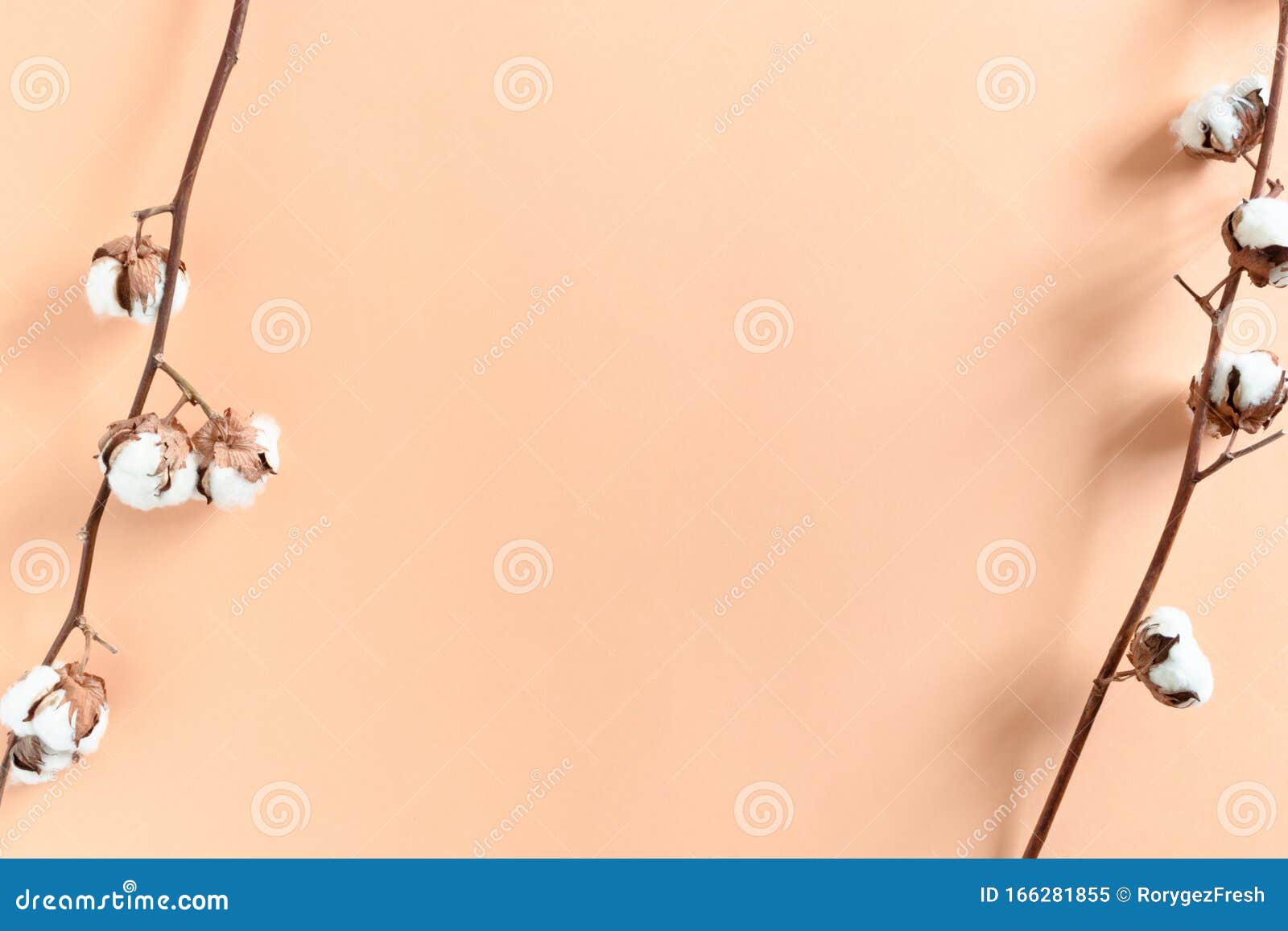 Border Frame Made of Cotton Branches Stock Image - Image of autumn ...