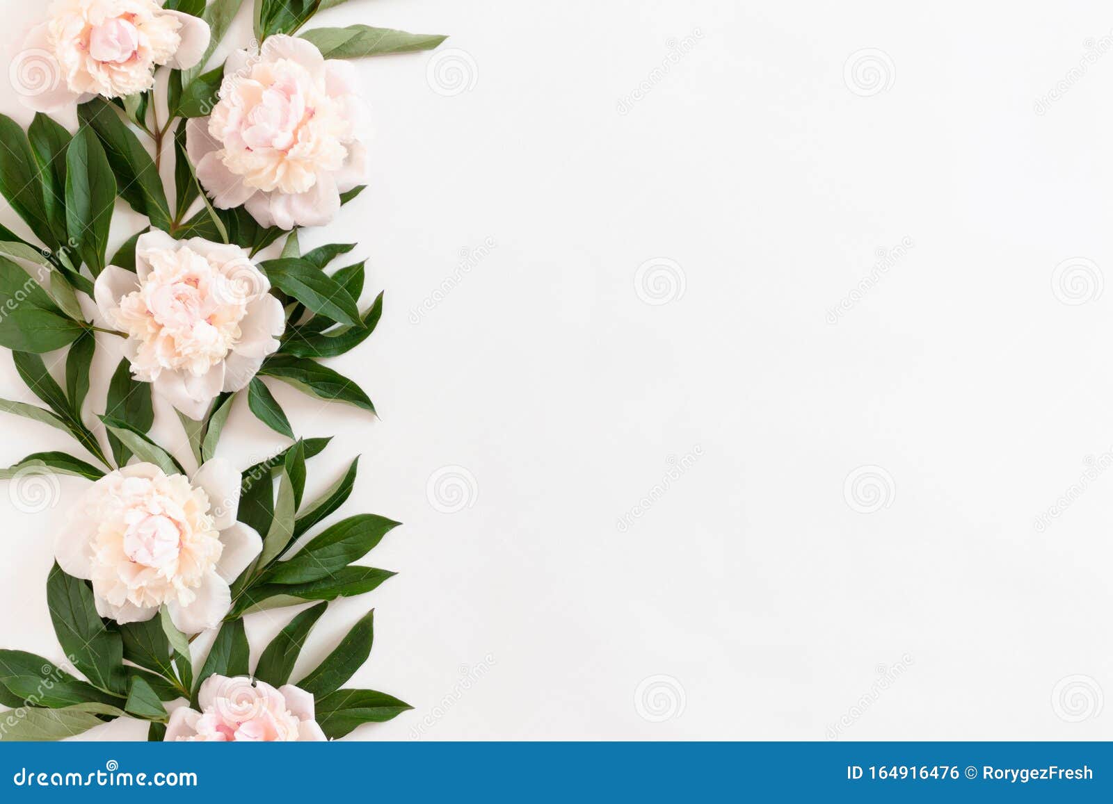 Border Frame Made of Pink Peonies Stock Photo - Image of leaves ...