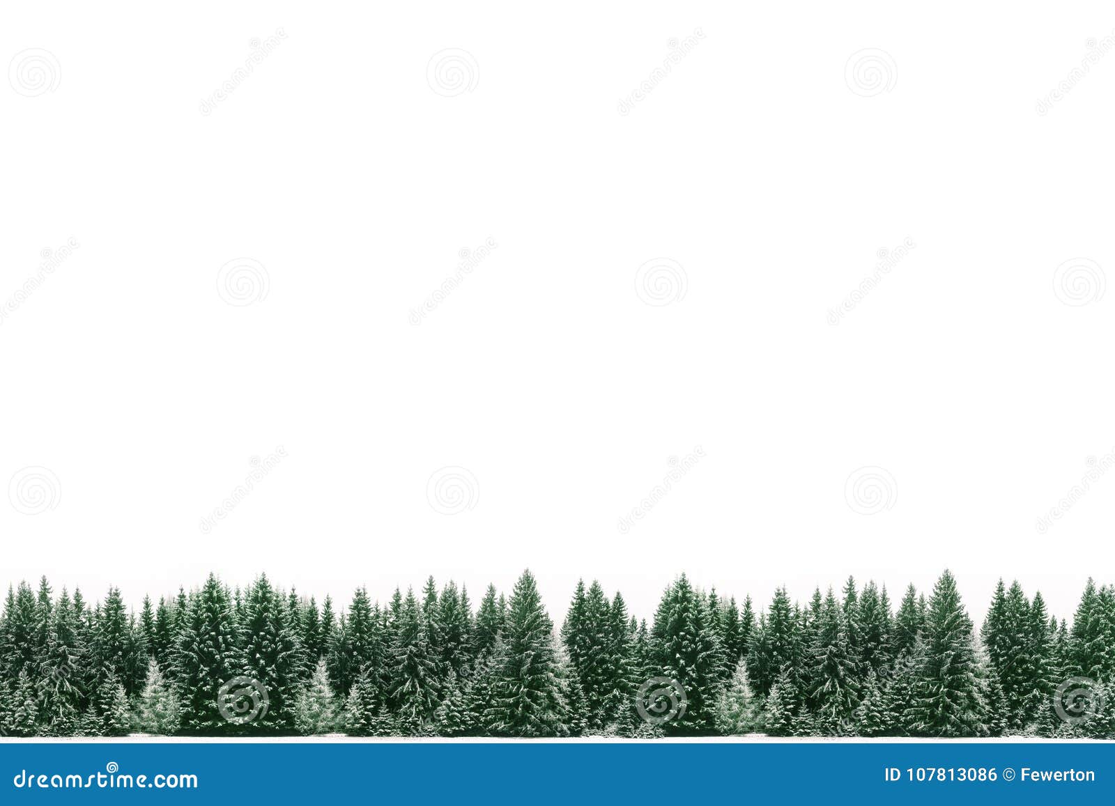 Christmas Background: Border Frame of Spruce Tree Forest Covered by ...