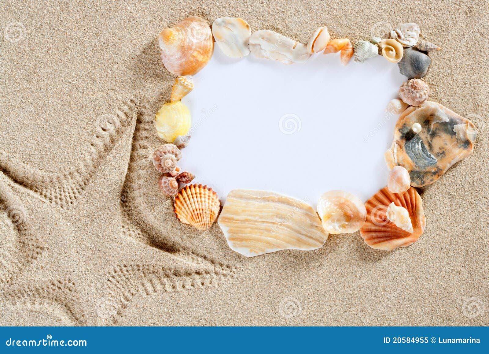 Border Frame Summer Beach Shell Stock Image - Image of island, copy ...