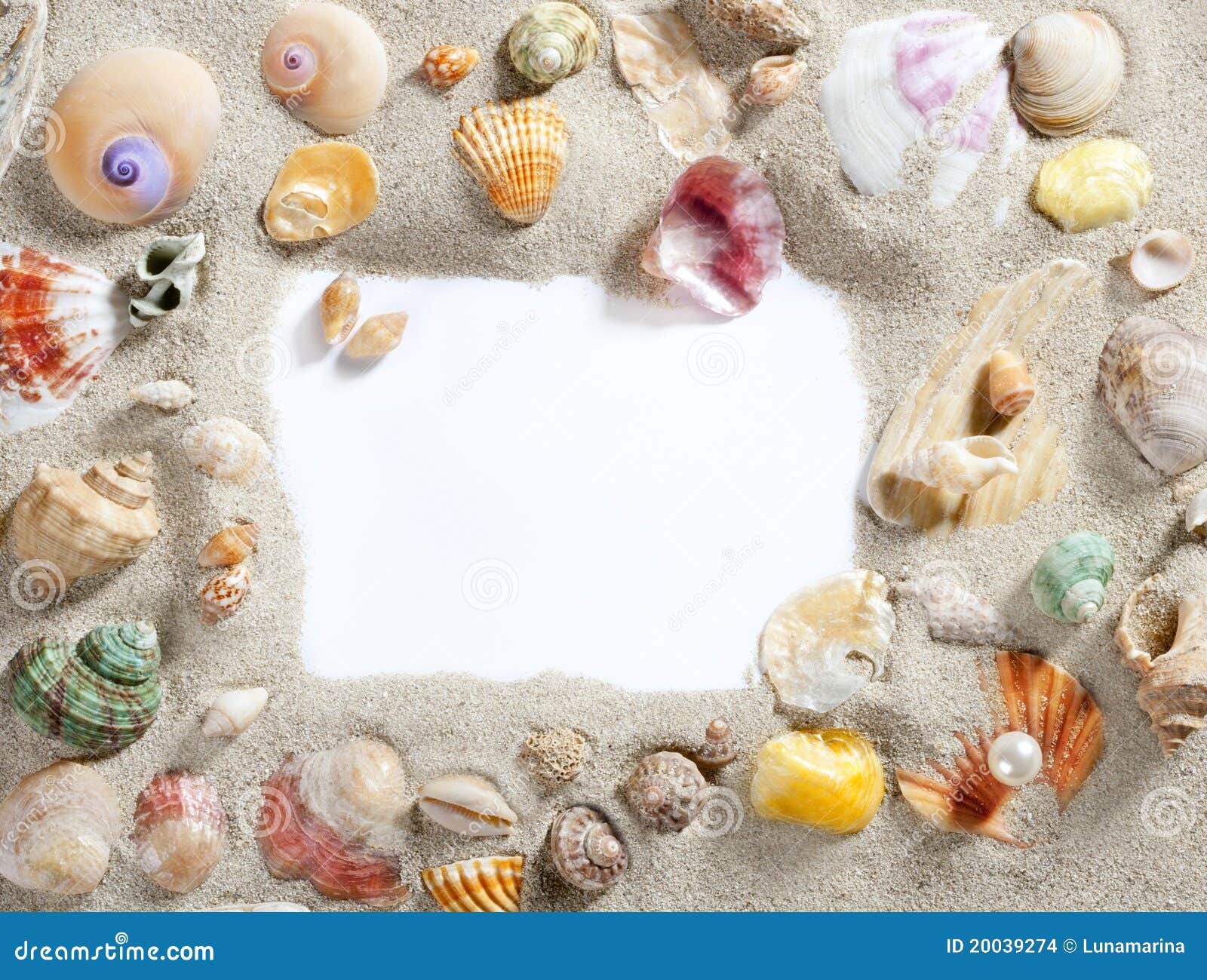 Border Frame Summer Beach Shell Blank Copy Space Stock Photo - Image of ...