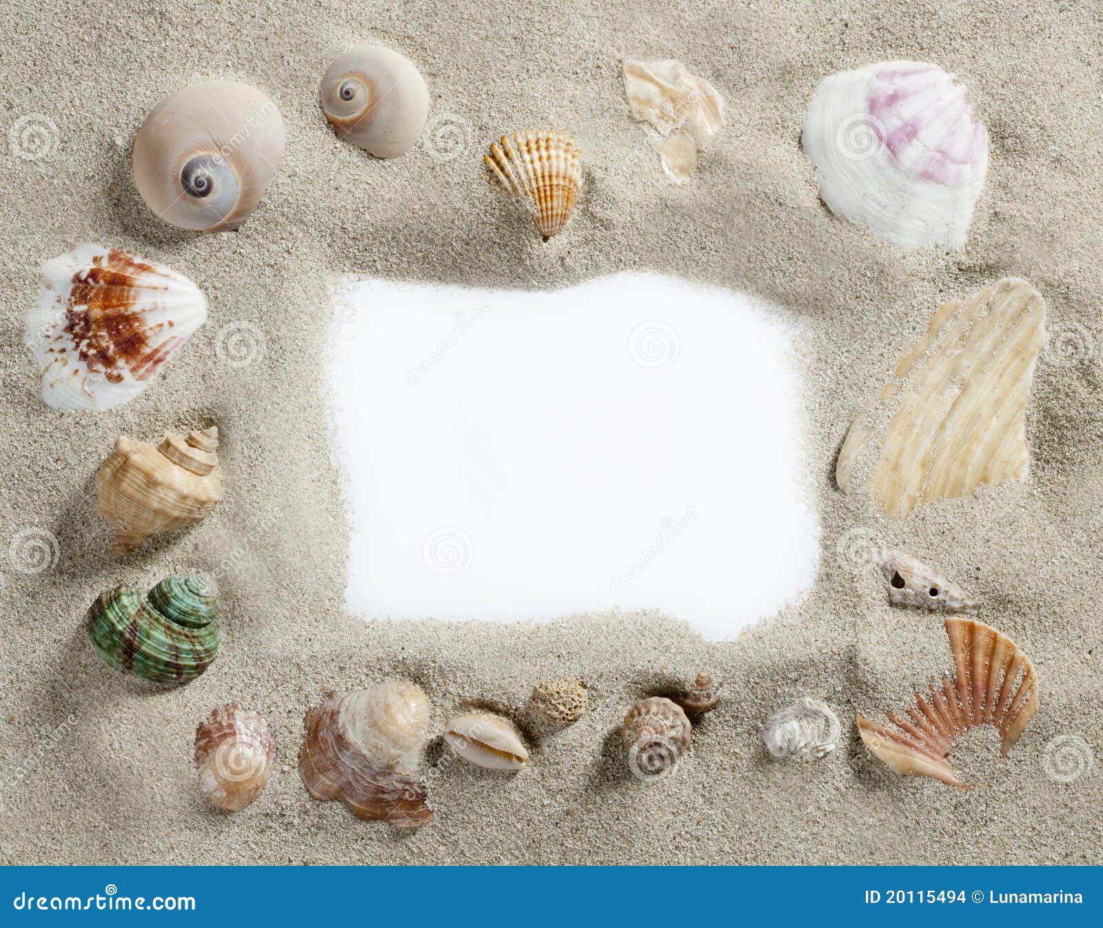 Border Frame Summer Beach Shell Blank Copy Space Stock Photo - Image of romantic, holiday: 20115494