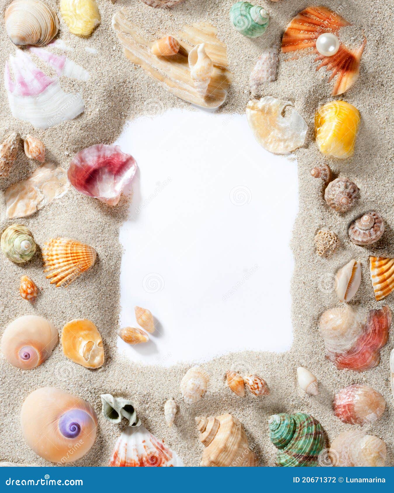 Border Frame Summer Beach Shell Blank Copy Space Stock Photo - Image of ...