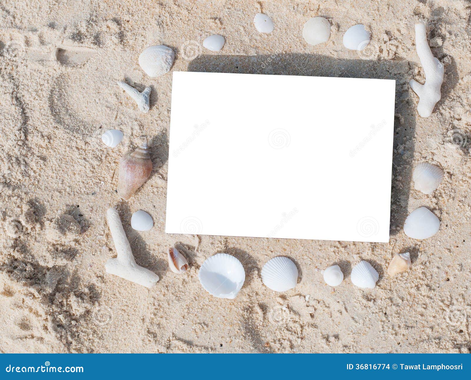 Border Frame Summer Beach Shell Blank Copy Space Stock Photo - Image of concept, beach: 36816774