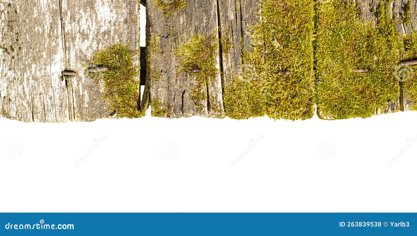 Border or Framing from Old Boards with Damage and Moss on White ...