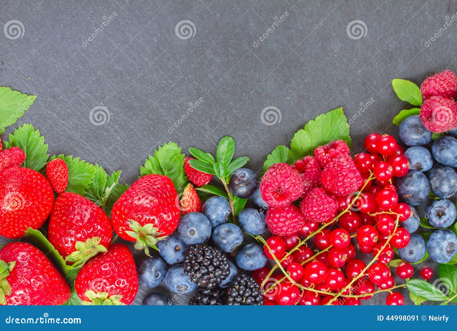 Border of fresh berries stock image. Image of healthy - 44998091
