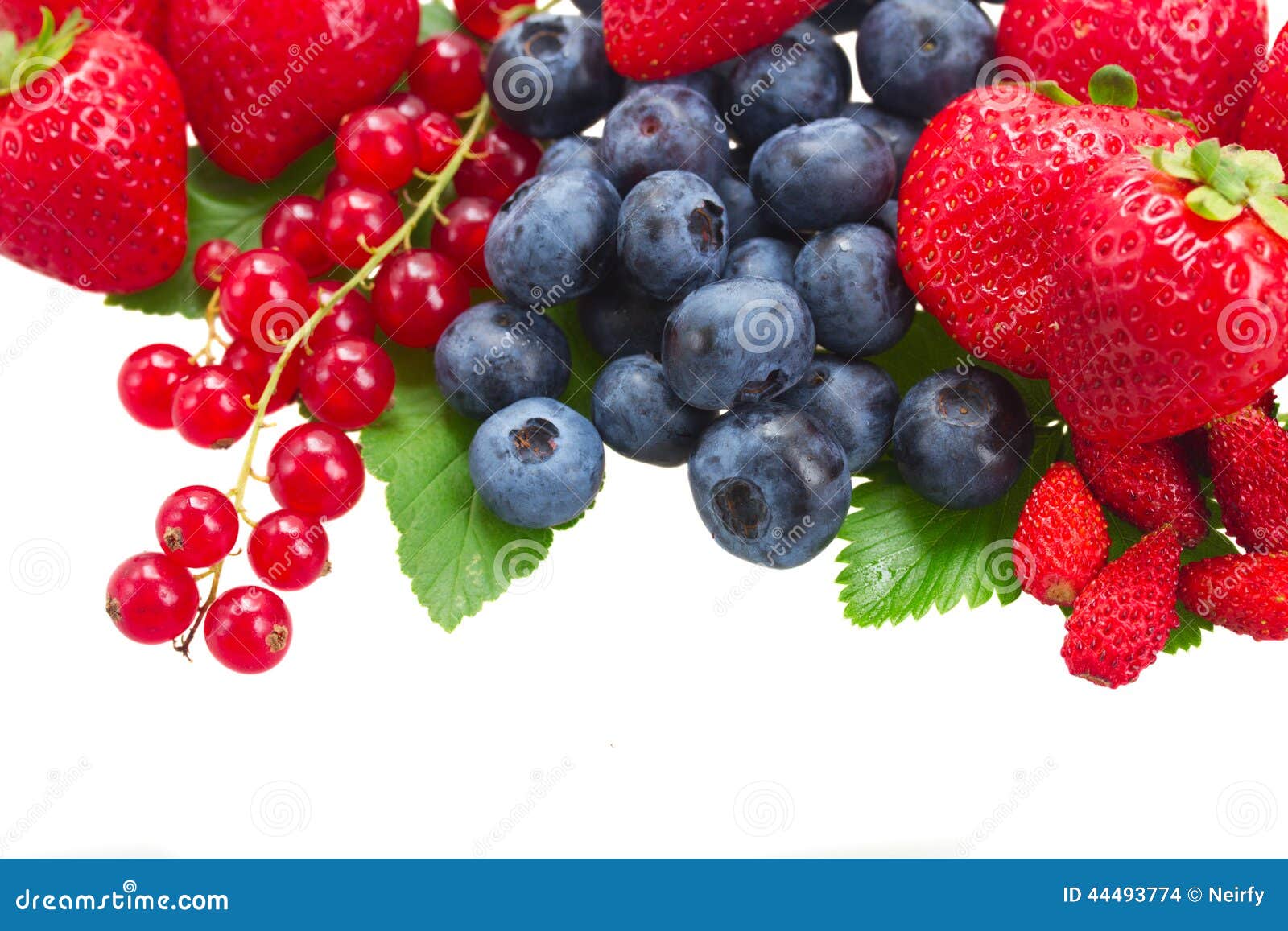 Border of fresh berries stock photo. Image of berries - 44493774