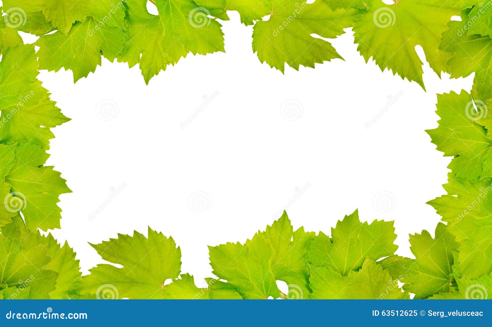 Border of Fresh Grape Leaves Stock Image - Image of bunch, grapes: 63512625