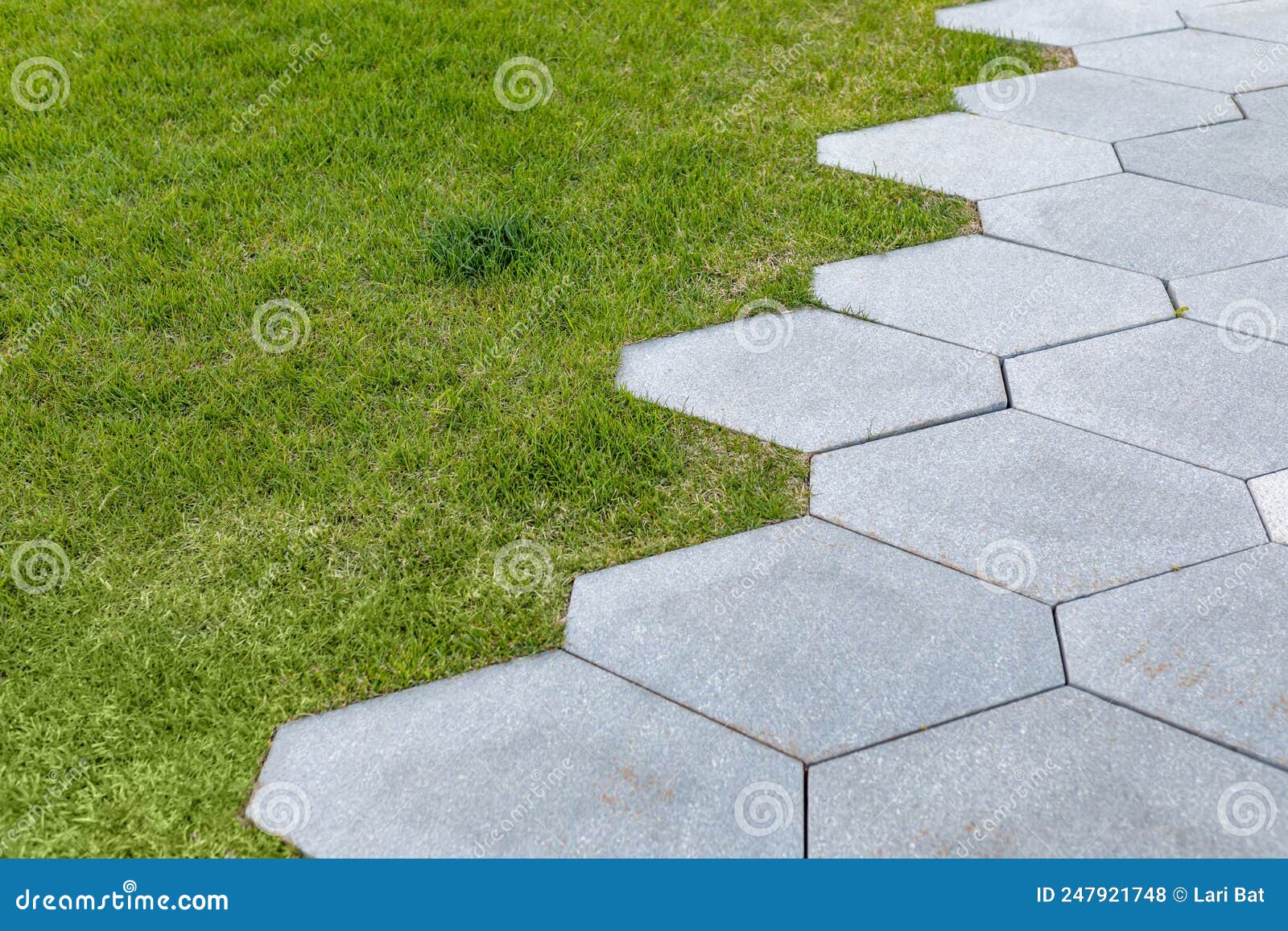 The Border between the Green Grass and the Large Paving Slabs of the ...