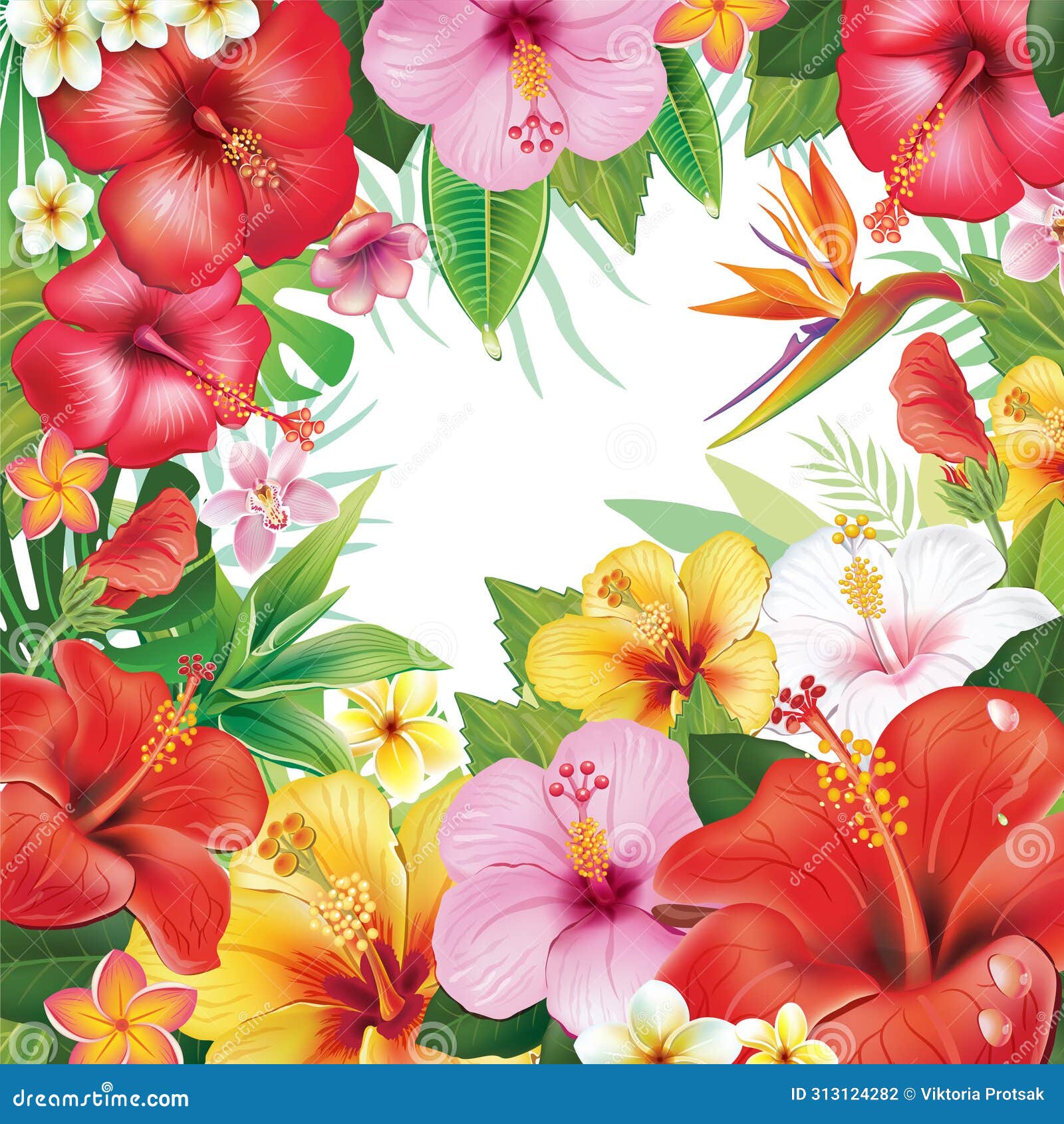 Border from Hibiscus Flowers Stock Illustration - Illustration of ...