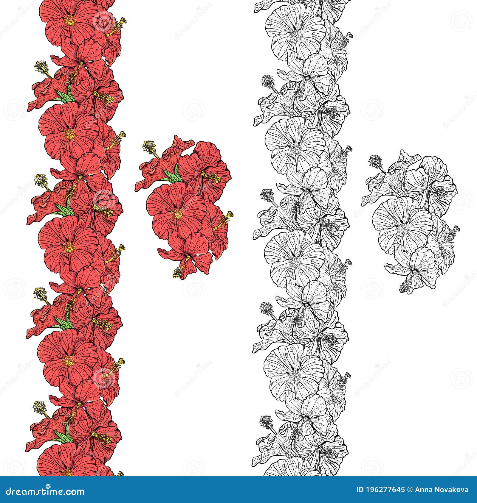 Border of Hibiscus Flowers in Vector Stock Vector - Illustration of ...