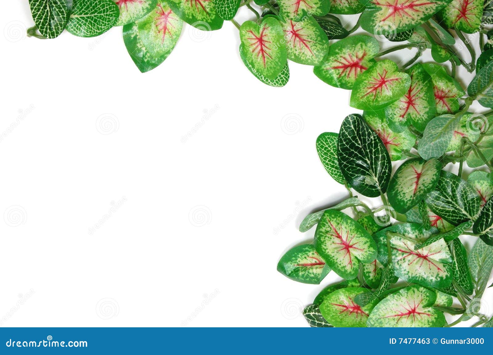 Border of leaves stock image. Image of greeting, frames - 7477463