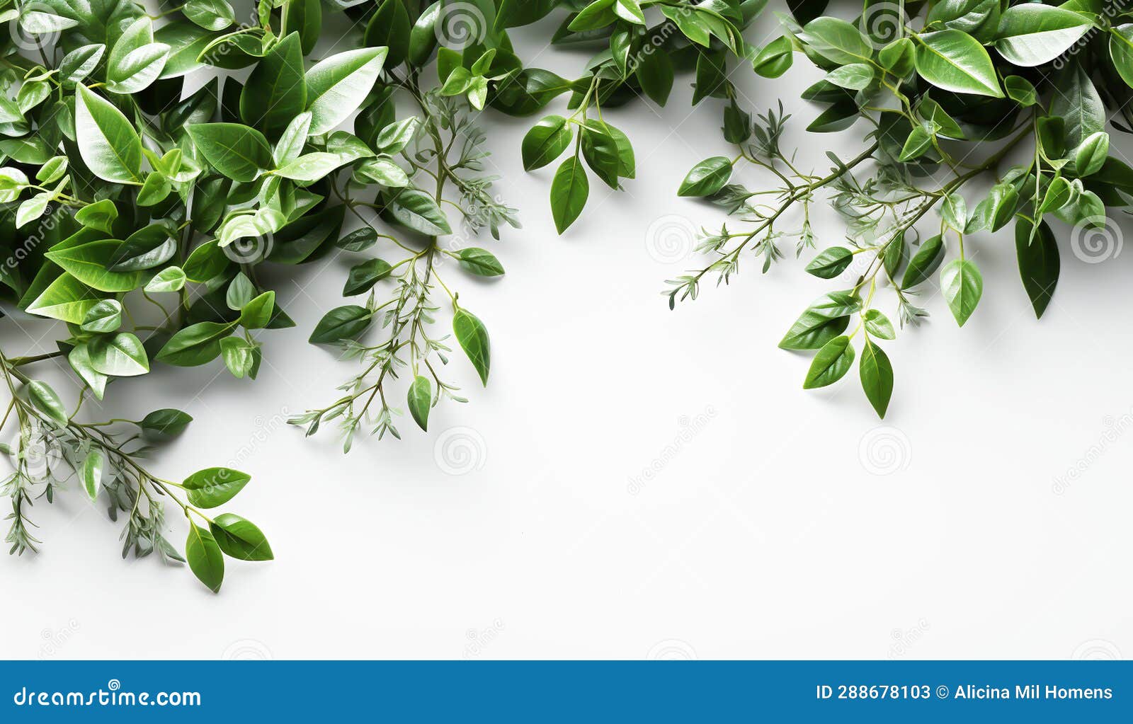 Border with Leaves and Free Space for Text. AI Generated Stock ...