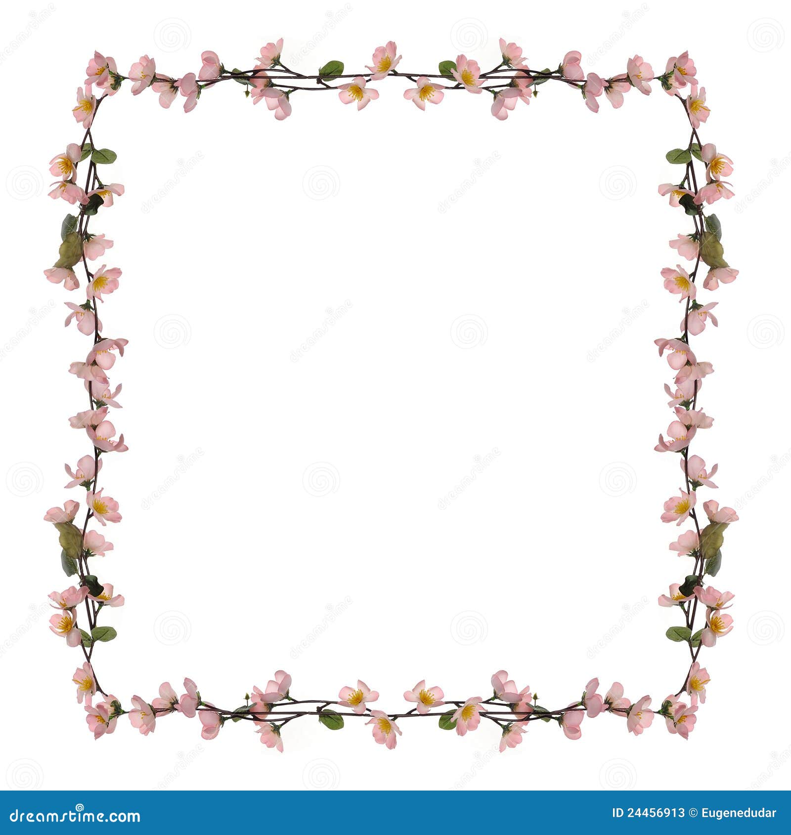 Border Made of Branches of the Cherry Blossoms Stock Illustration ...