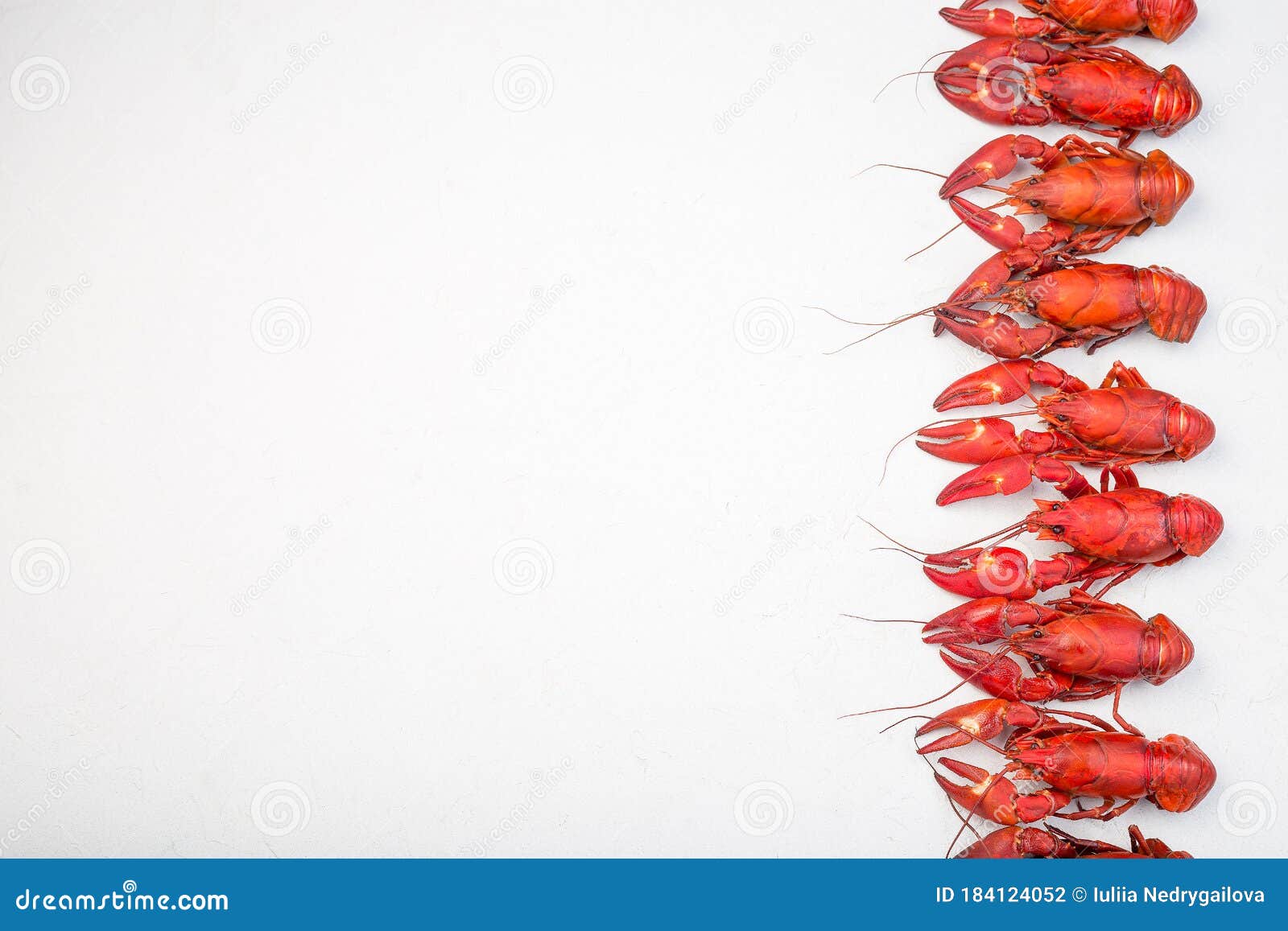 Border Made from Crayfishes, Gray Concrete Background, Copy Space ...