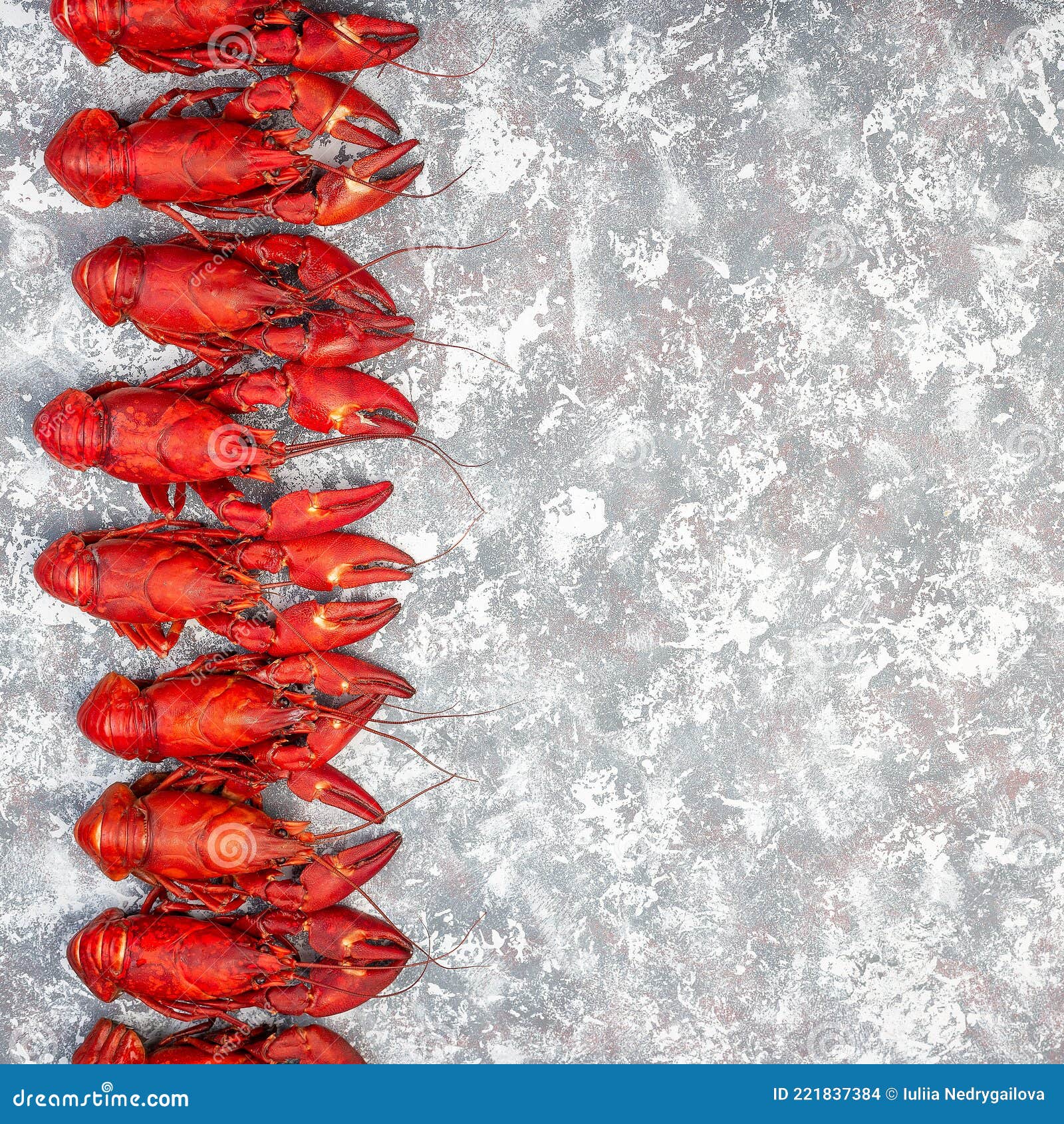 Border Made from Crayfishes on Gray White Concrete Background, Top View ...