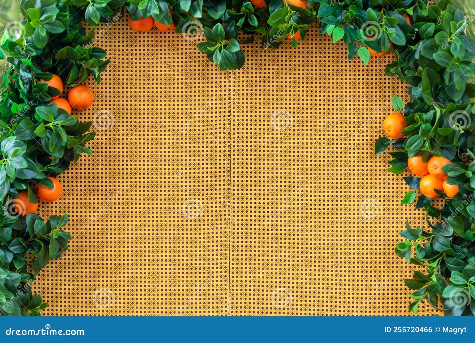 Border Made of Orange Trees. Oranges Hanging on Branches Making a Frame ...