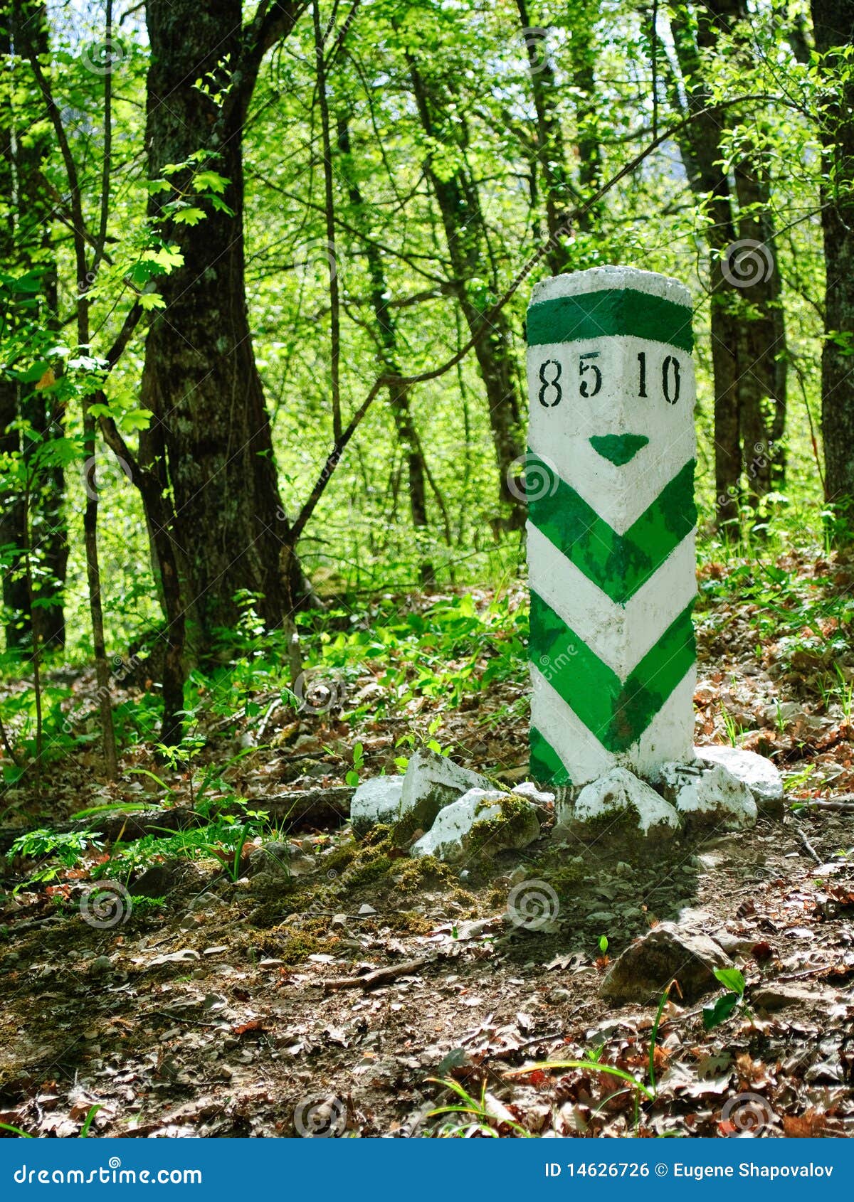 Border marker stock photo. Image of mark, boundary, forest - 14626726