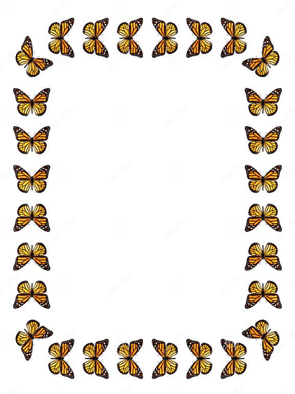 Border monarch butterfly stock illustration. Illustration of vertical ...