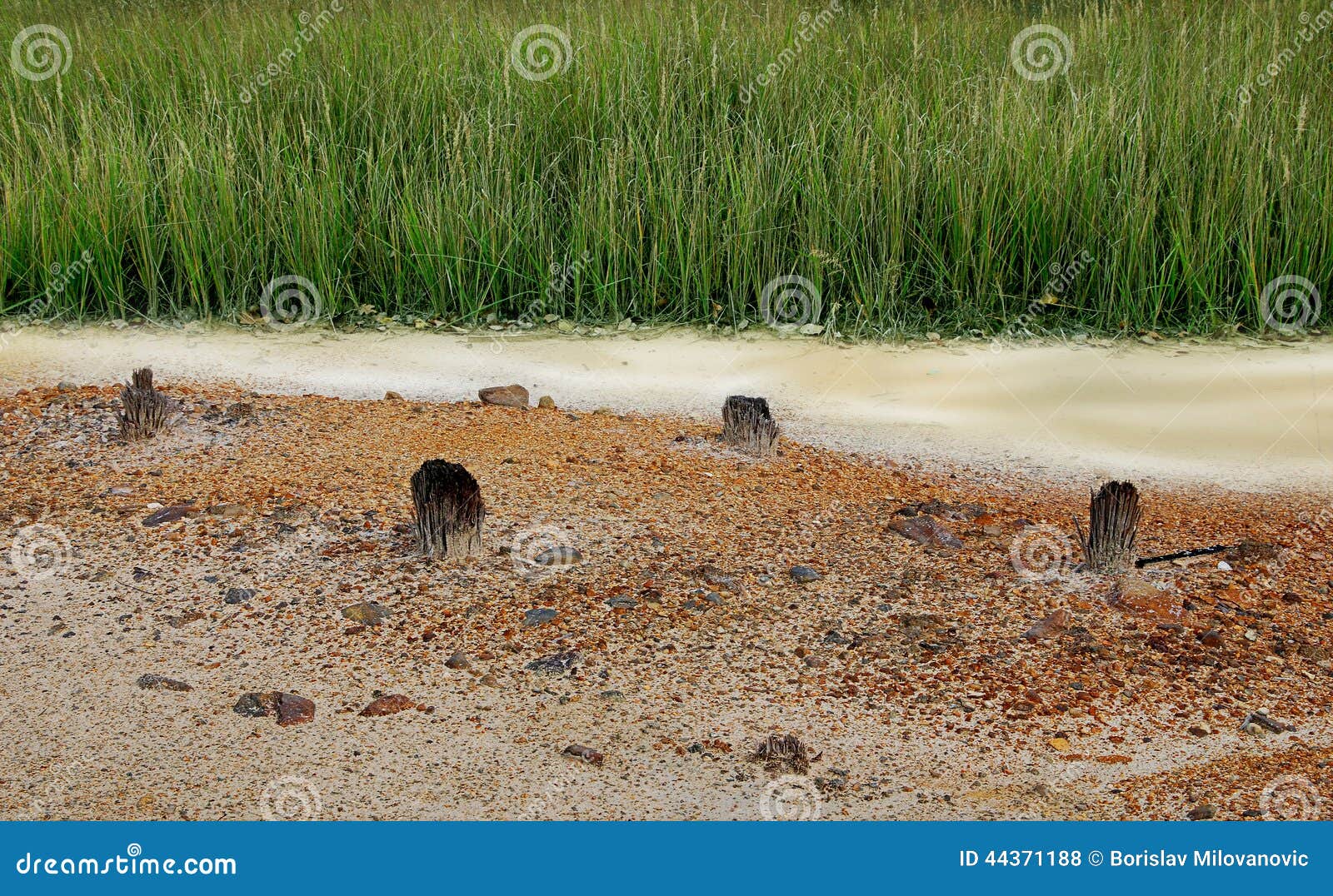 Border stock photo. Image of unpolluted, green, sand - 44371188