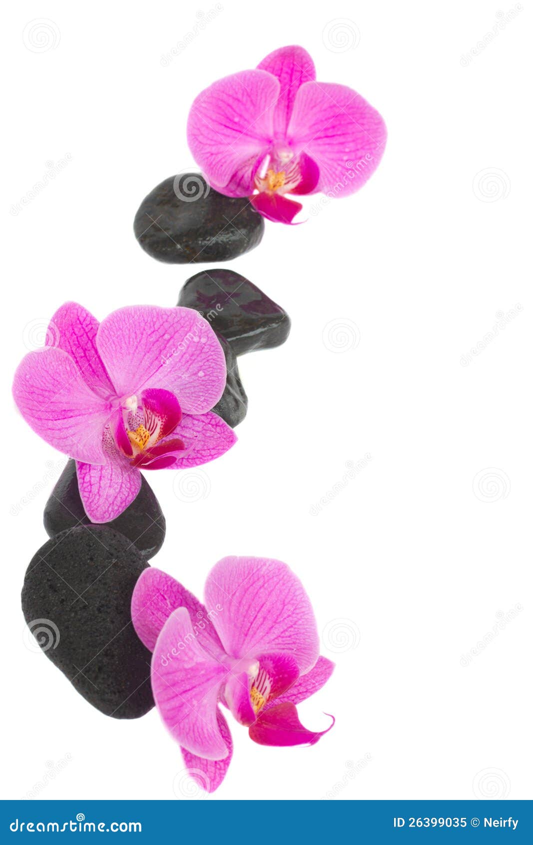 Border of Orchid and Zen Stones Stock Image - Image of alternative ...