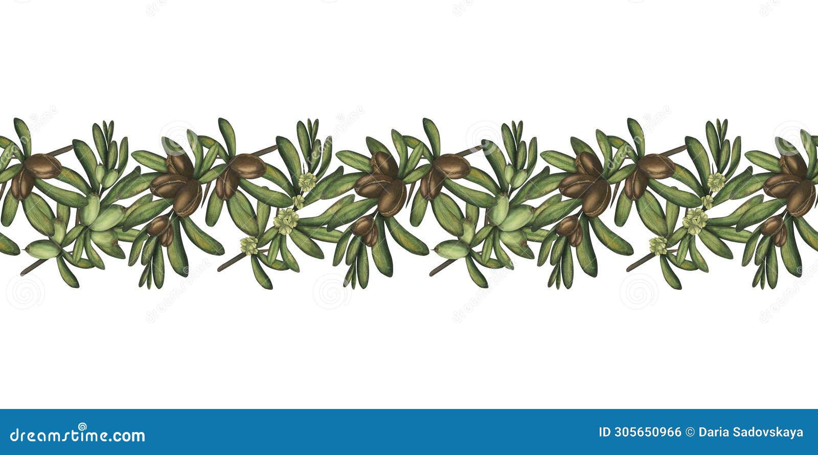 The Border is a Pattern of Argan Tree Branches with Nuts. Watercolor ...