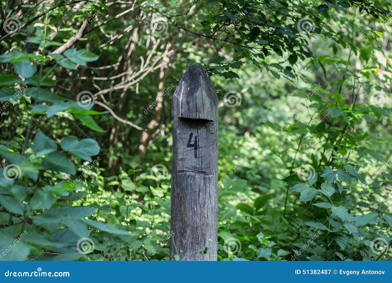 Border post forest stock image. Image of card, country - 51382487