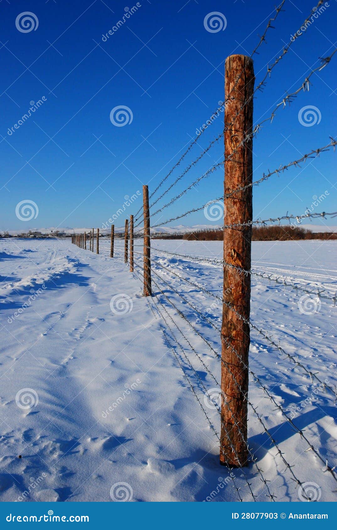Border Posts Along the Frontier Stock Image - Image of boundary ...