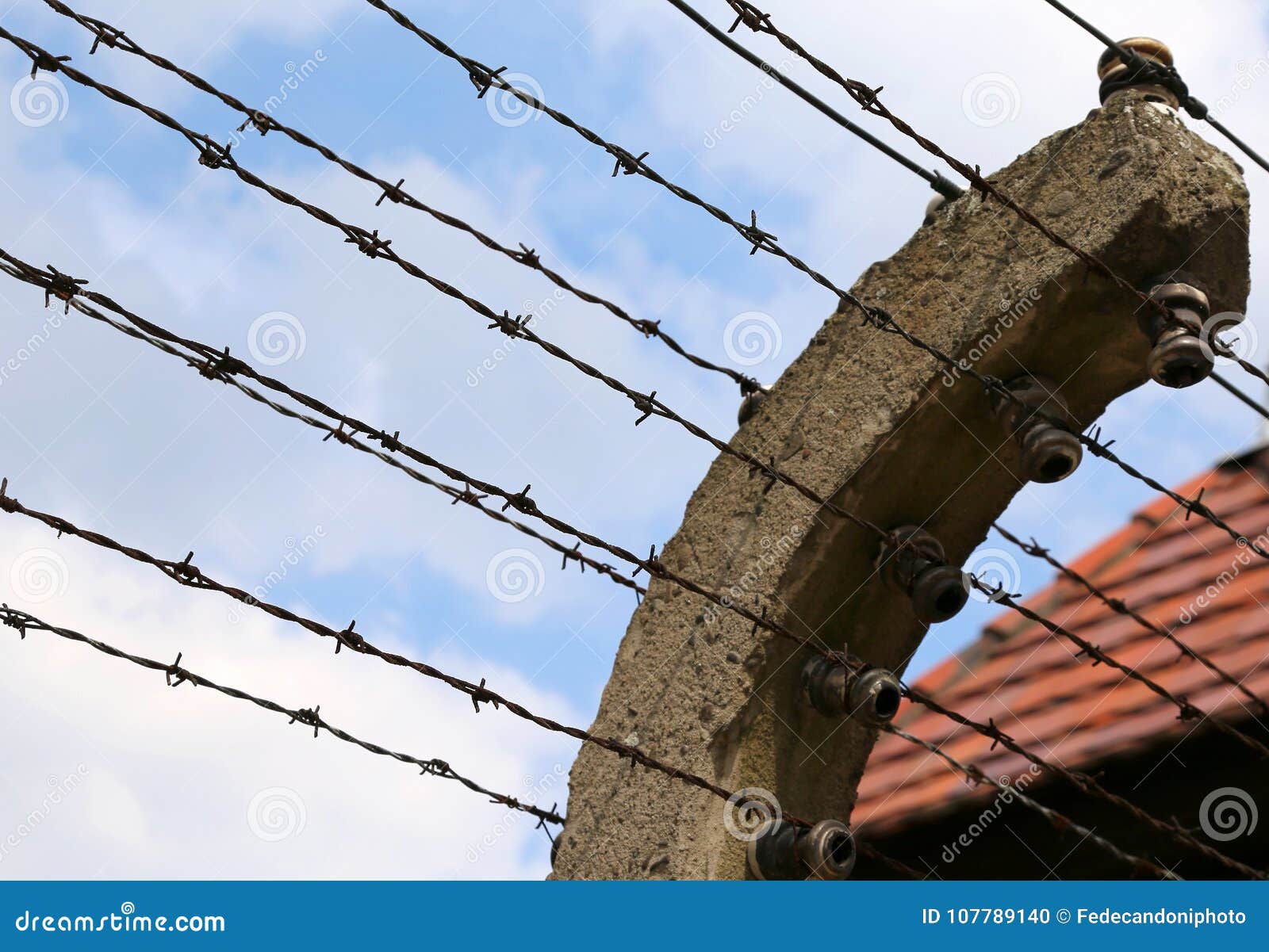 Border of a Prison with Barbed Wire Stock Photo - Image of border ...