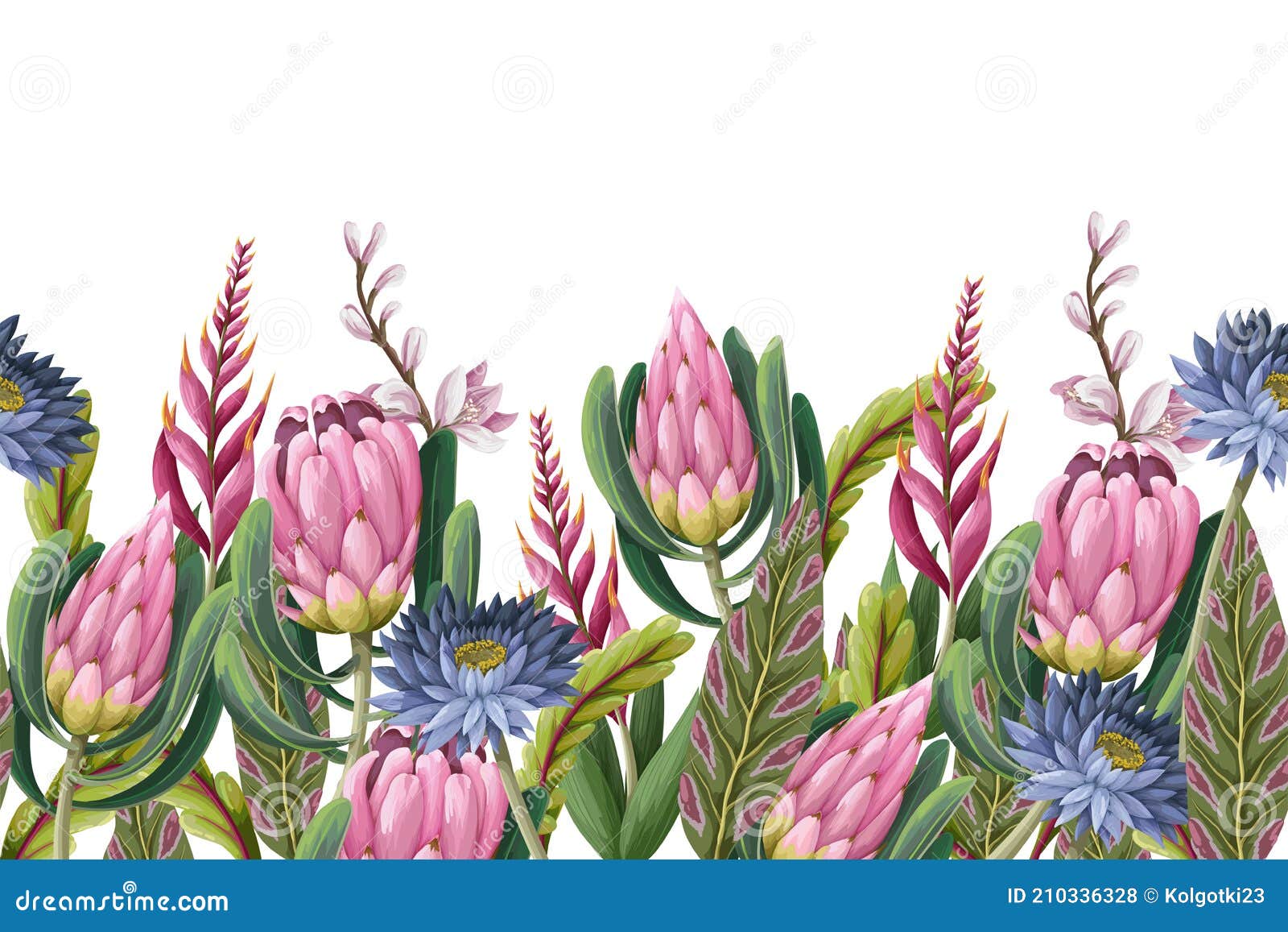 Border with Proteas Flowers. Trendy Floral Vector Print. Stock Vector ...