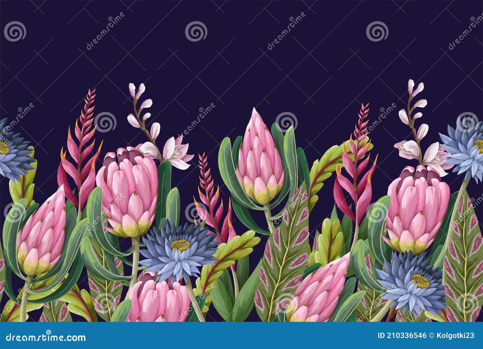 Border with Proteas Flowers. Trendy Floral Vector Print. Stock Vector ...