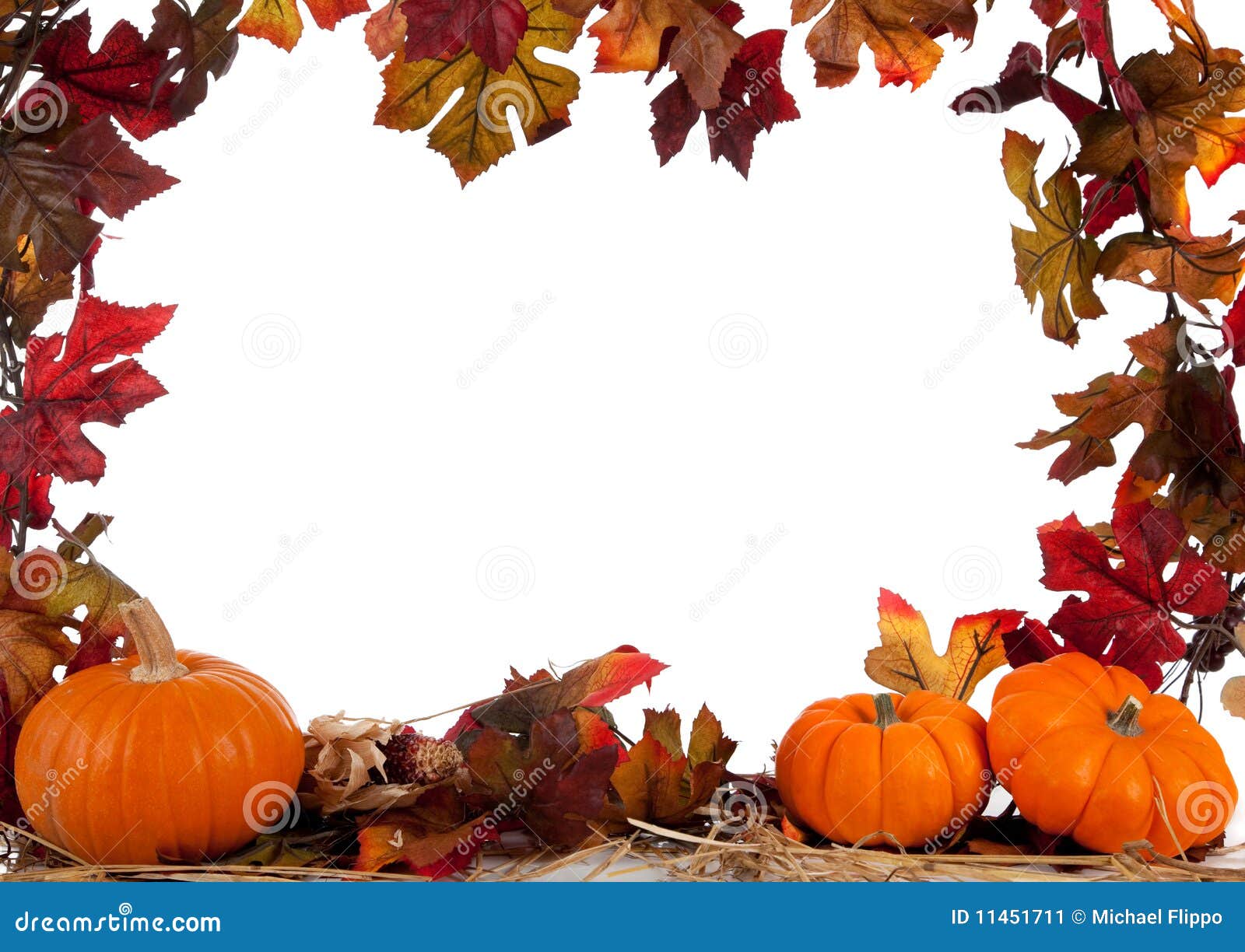 Farmland Wallpaper Border