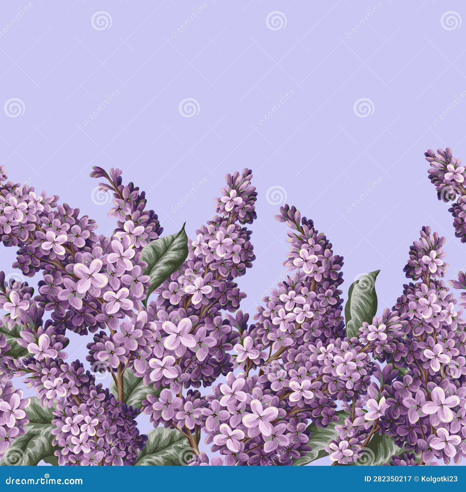 Border with Purple Lilacs. Vector. Stock Vector - Illustration of style ...
