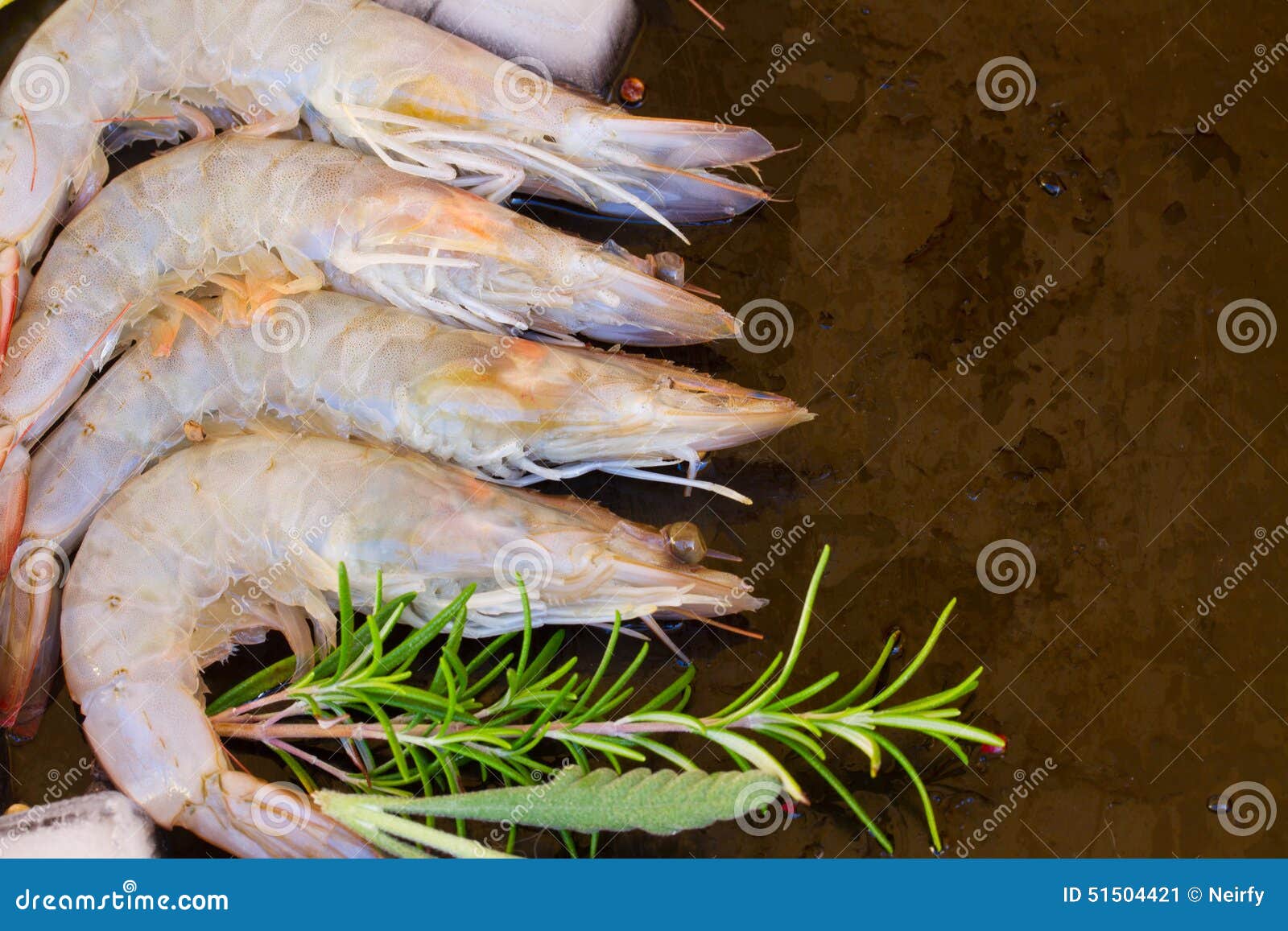 Border of raw prawns stock image. Image of prawn, fresh - 51504421