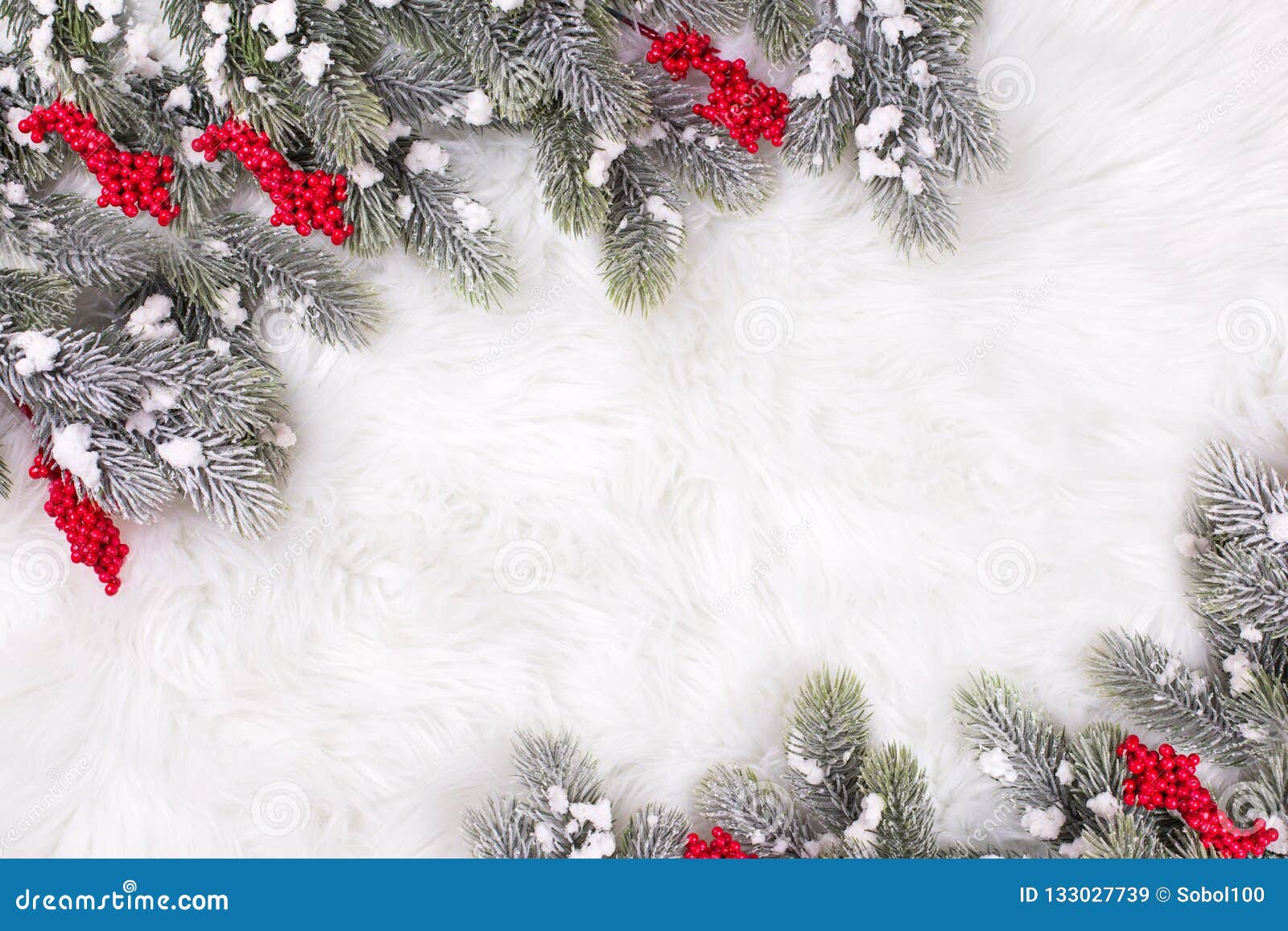 Border from Red Berries and Branches Fur Tree on White Fur Back Stock ...