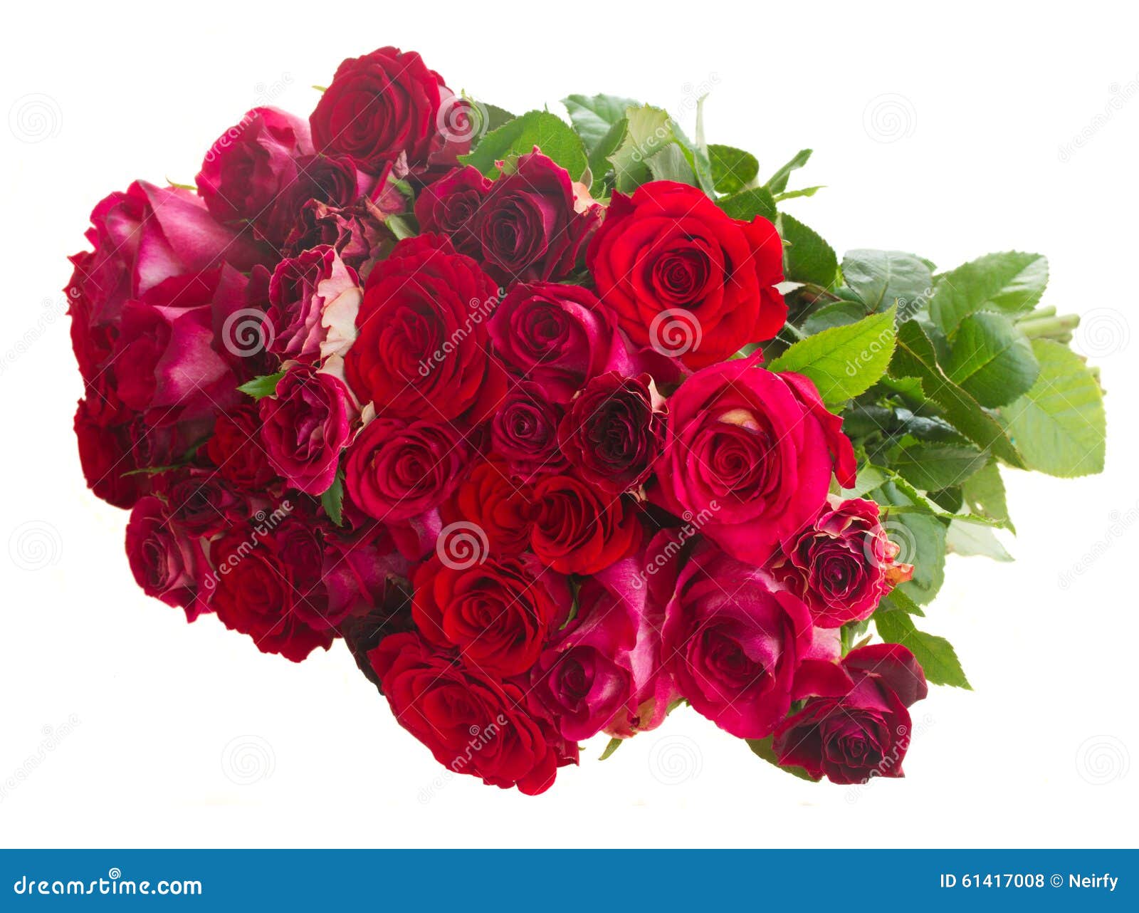 Border of Red and Pink Roses Stock Photo - Image of bloom, rose: 61417008