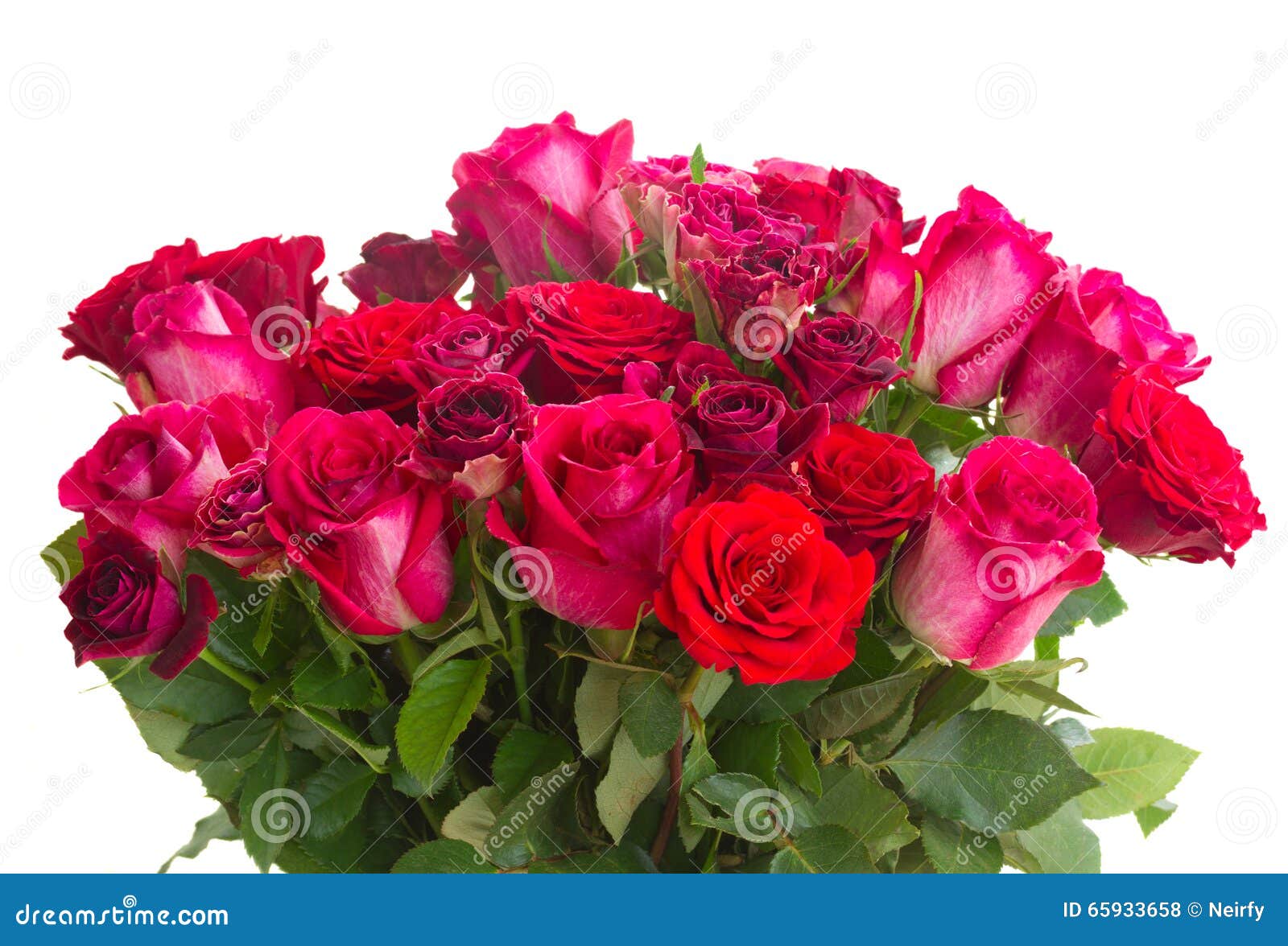 Border of Red and Pink Roses Stock Photo - Image of holiday, nature ...