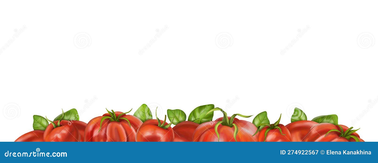 A Border of Red Ripe Tomatoes of Different Varieties with Leaf Basil ...