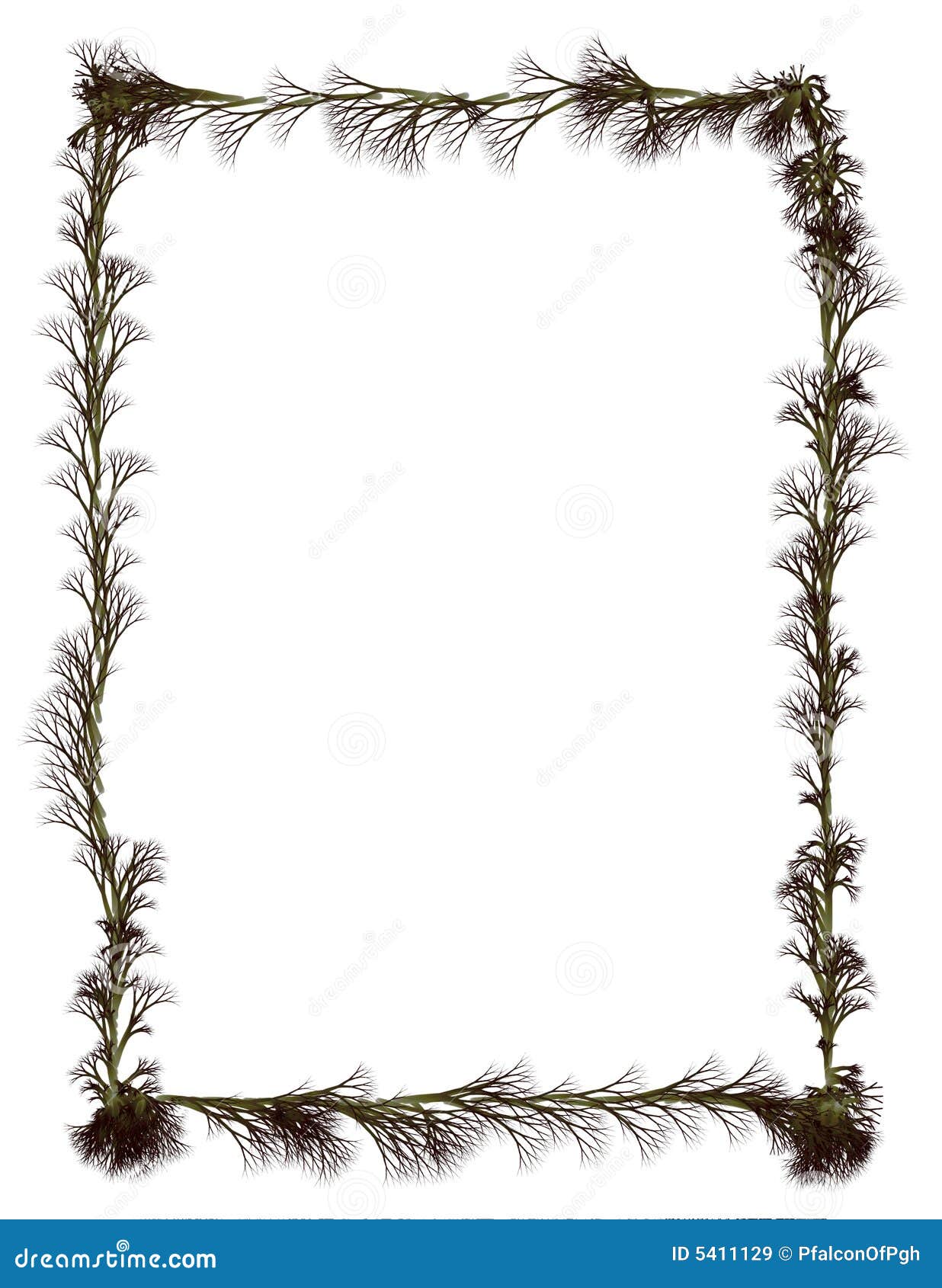 Border: Roots stock image. Image of sign, party, branches - 5411129