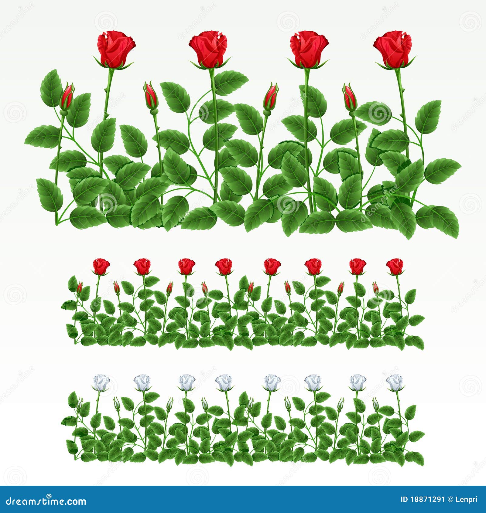 Border of roses stock vector. Illustration of field, outdoors - 18871291