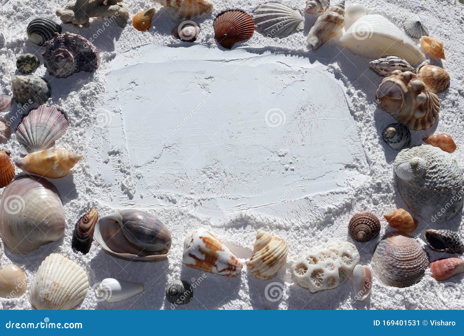 Sea shell border stock image. Image of border, coast - 169401531