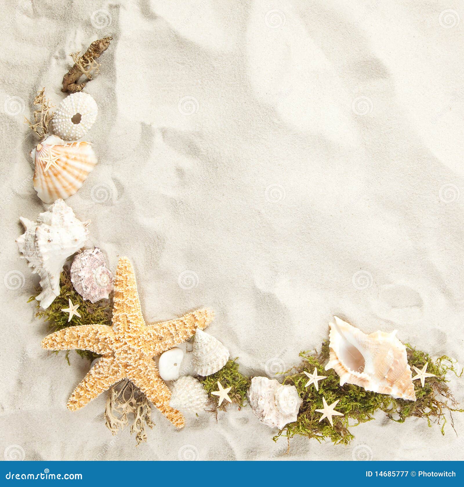 Border of seashells stock image. Image of souvenir, sandy - 14685777