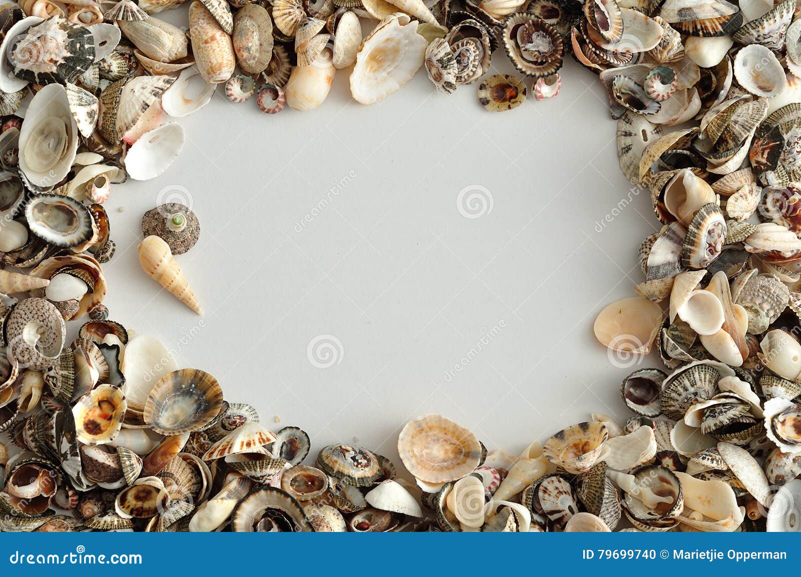 Border With Seashells With A Sand Background Royalty-Free Stock ...