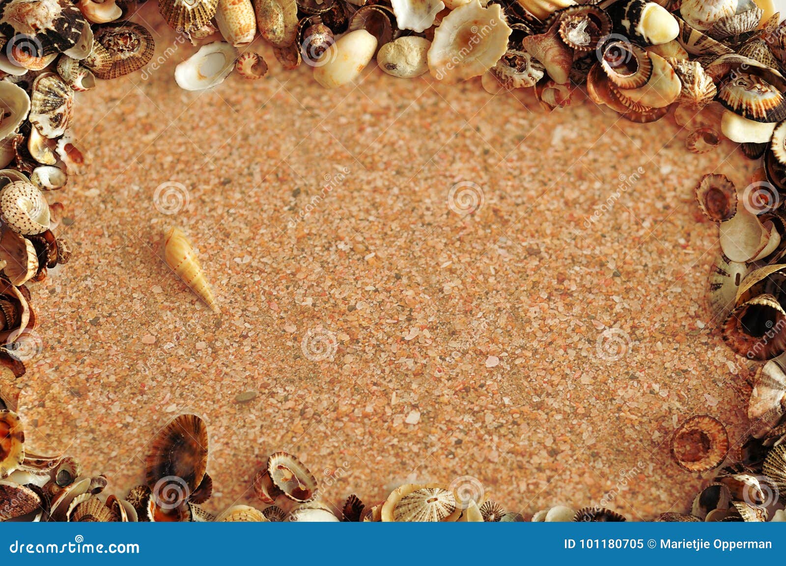 Border With Seashells With A Sand Background Royalty-Free Stock ...