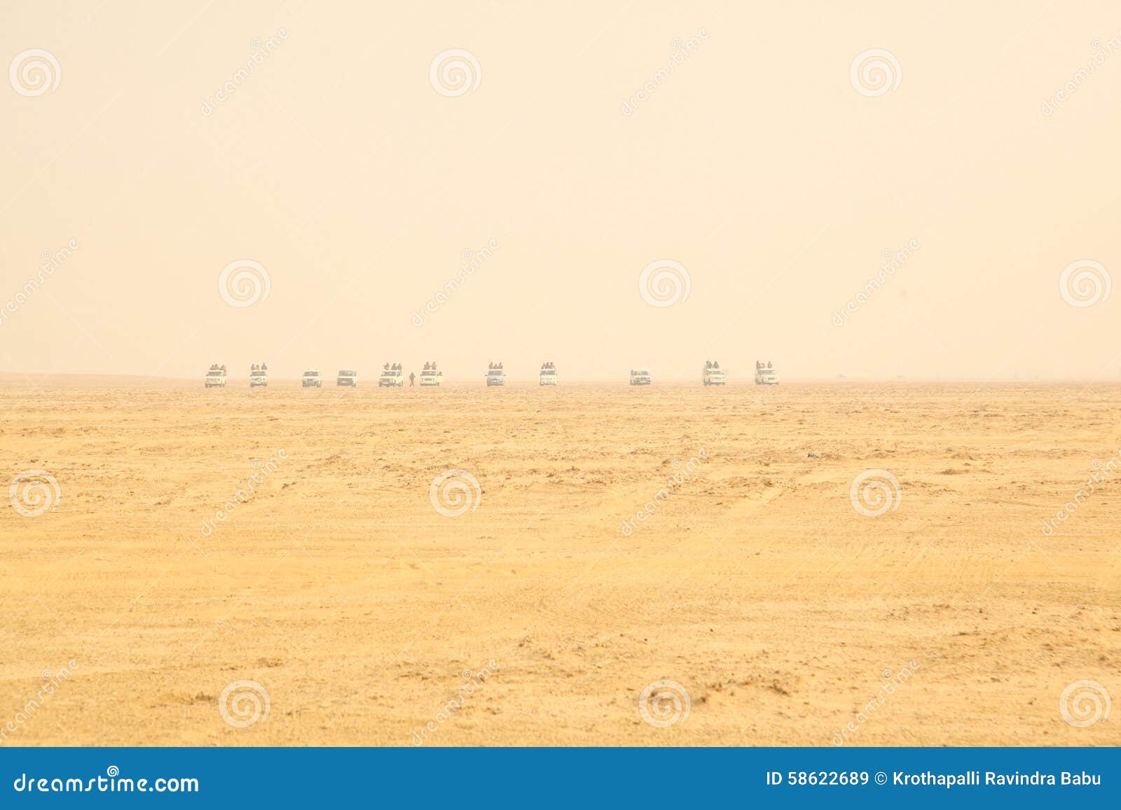 Border Security Force in the Desert Stock Image - Image of environment ...