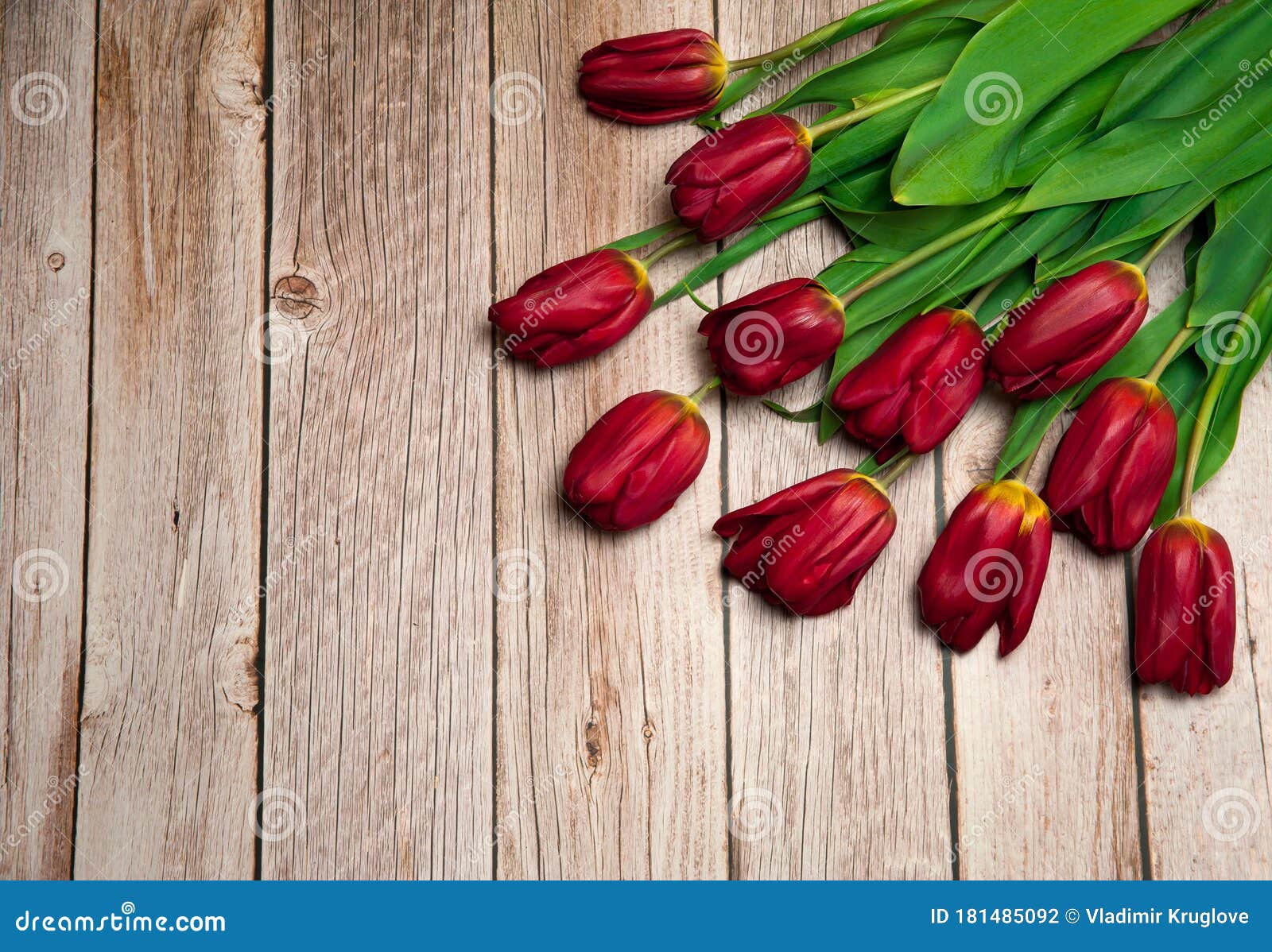 Border of Spring Red Tulips on a Light Wooden Background. Stock Photo ...