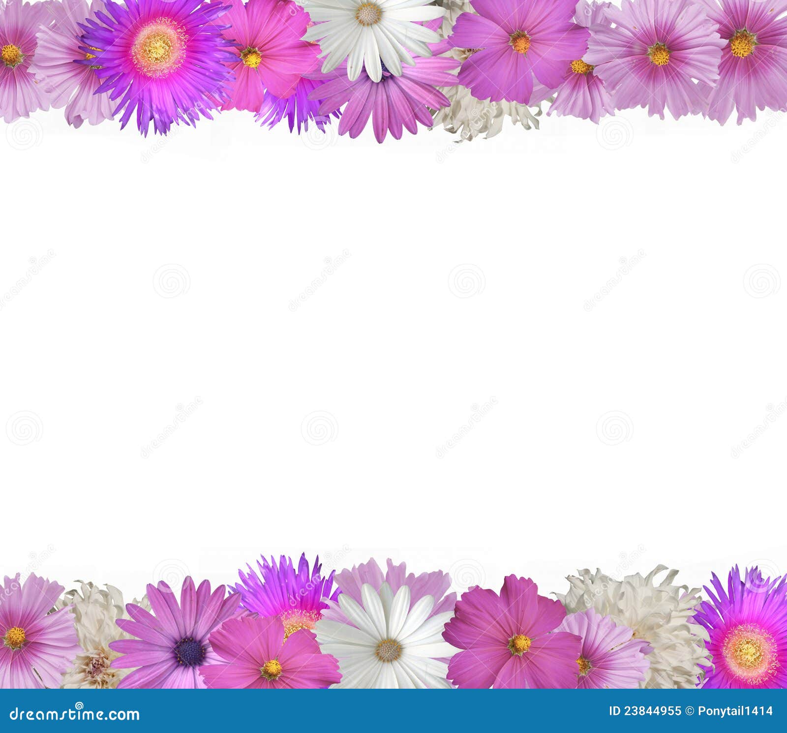 Border of Spring and Summer Flowers Stock Illustration - Illustration ...