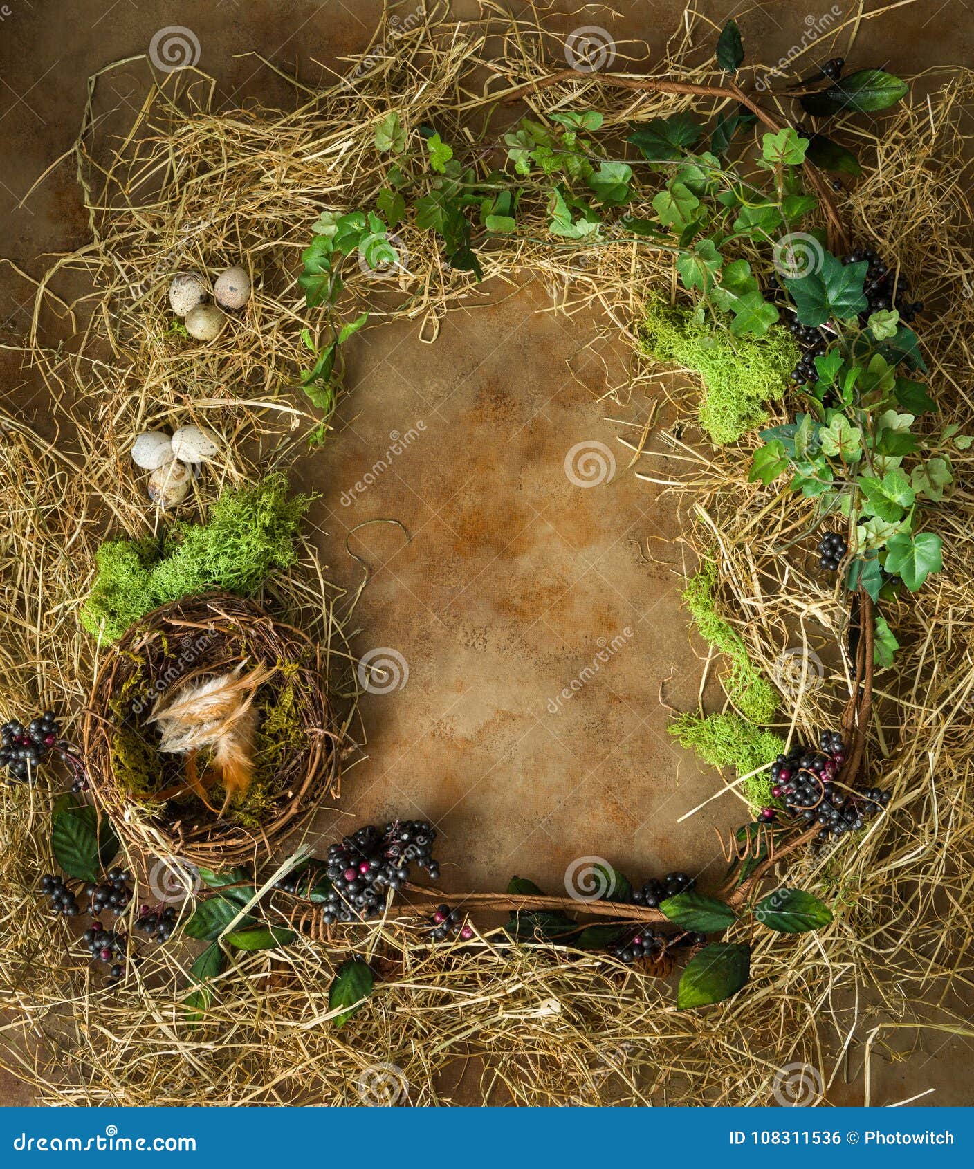 Border with Springtime Nest Stock Photo - Image of natural, berries ...