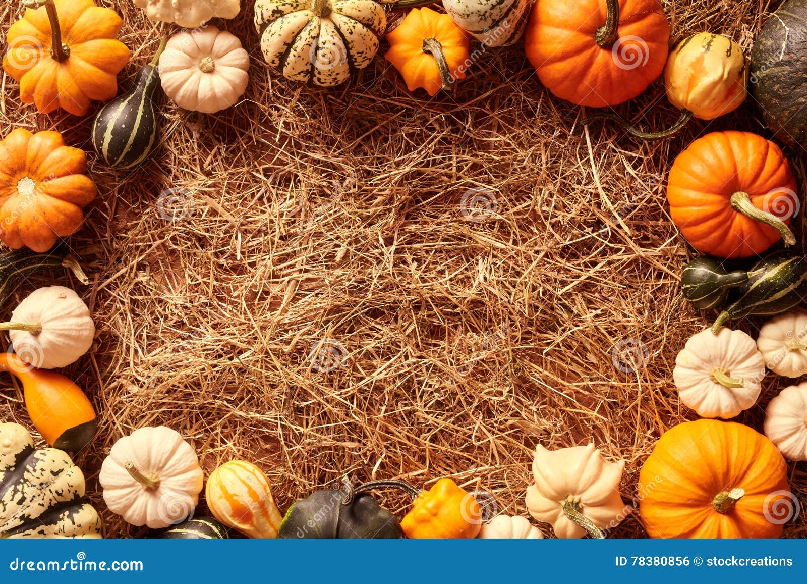 Border of Squash Gourds with Copy Space in Middle Stock Photo - Image ...